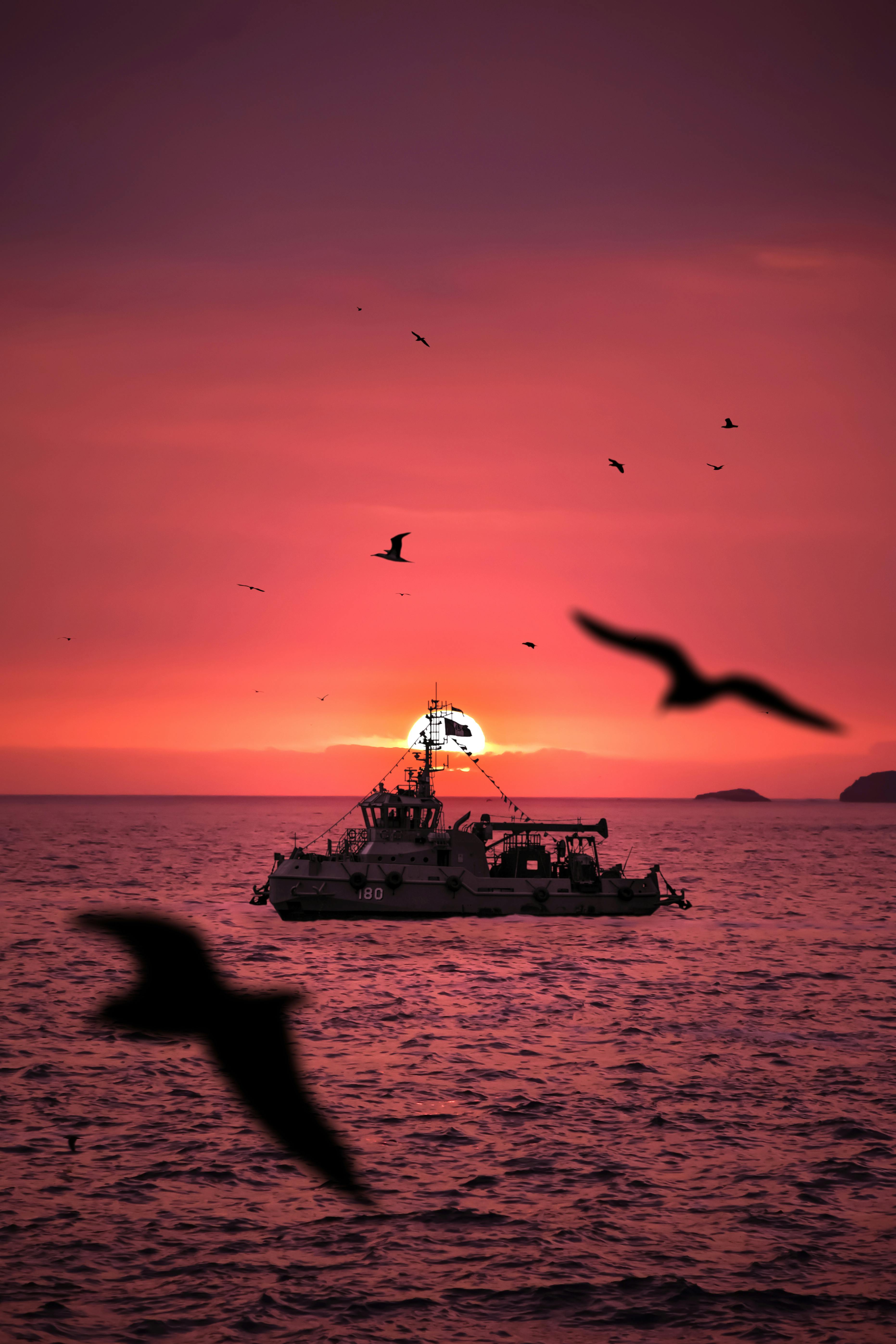 50 000+ Bateau banque d’images et photos libres de droit ...