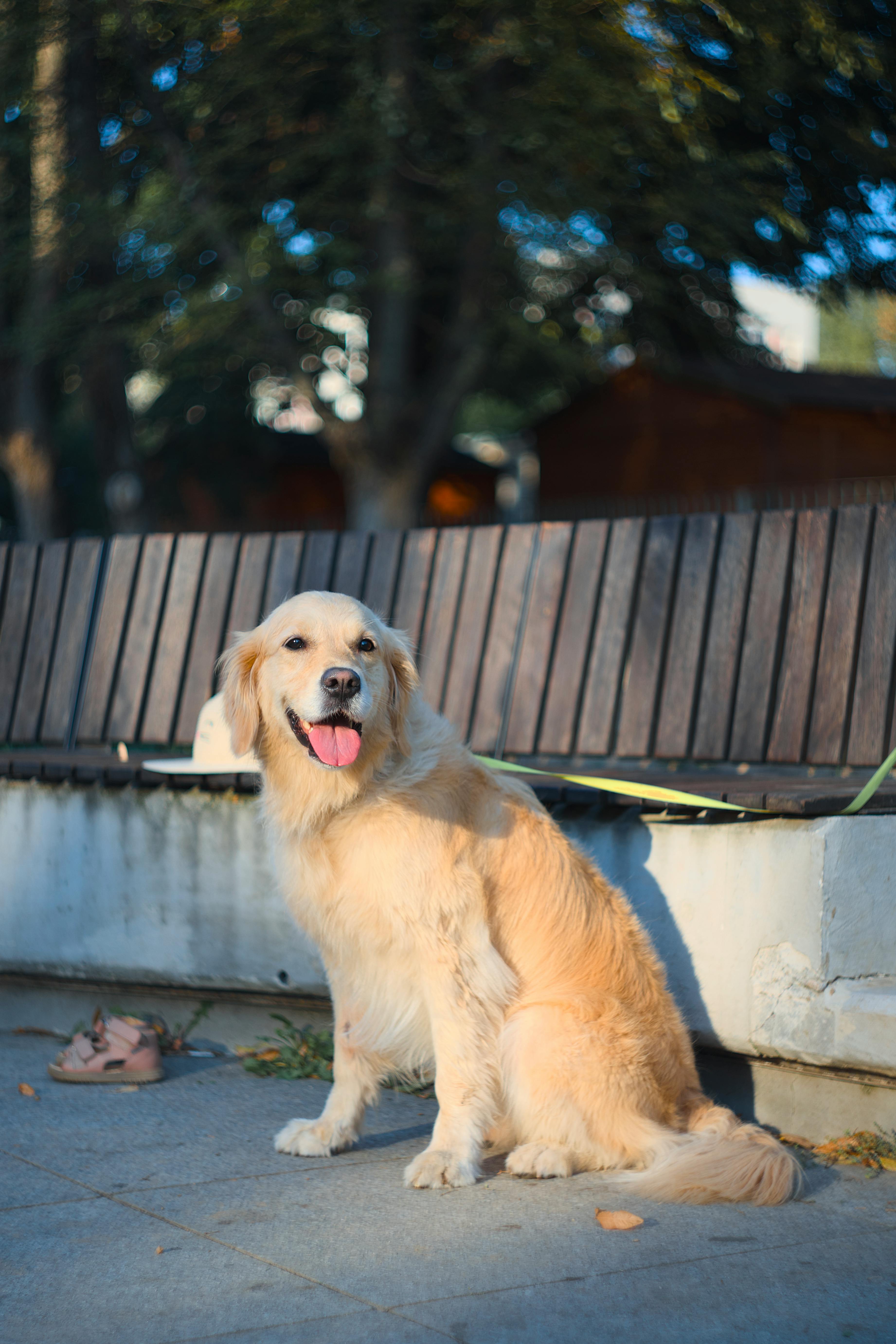 Vladyslav Dukhin - Photography