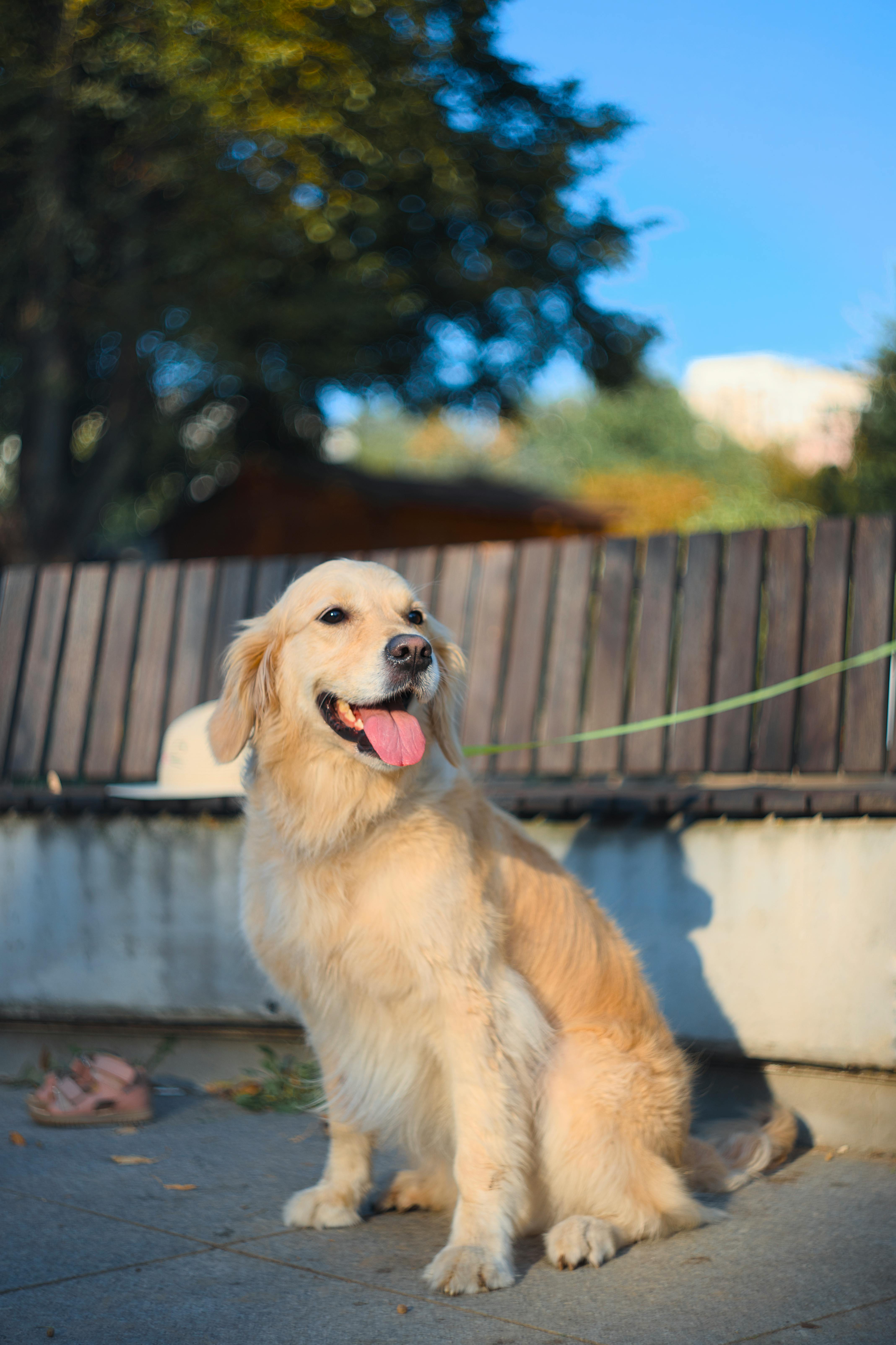 Vladyslav Dukhin - Photography