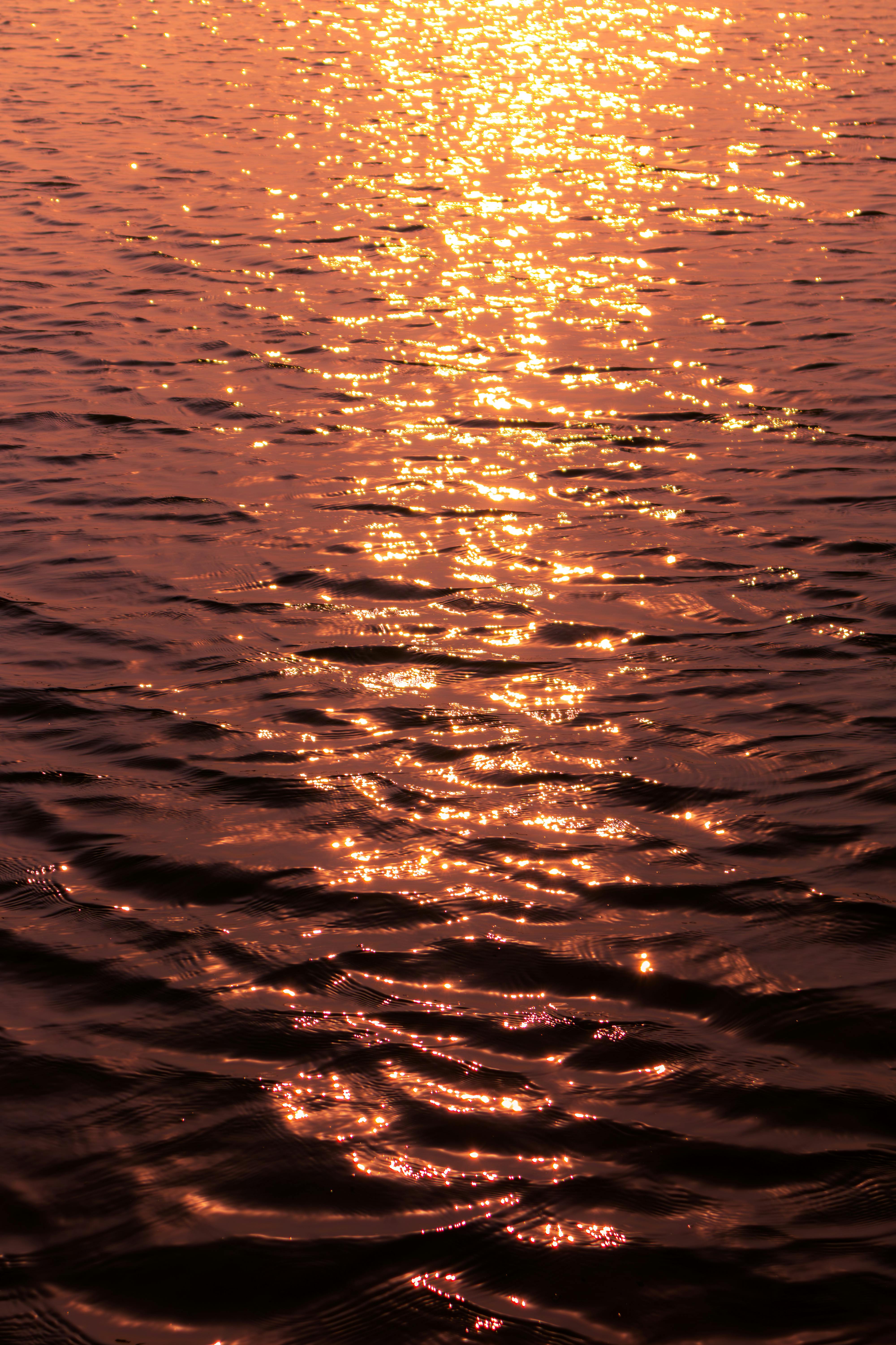 Anurag Jamwal - 摄影