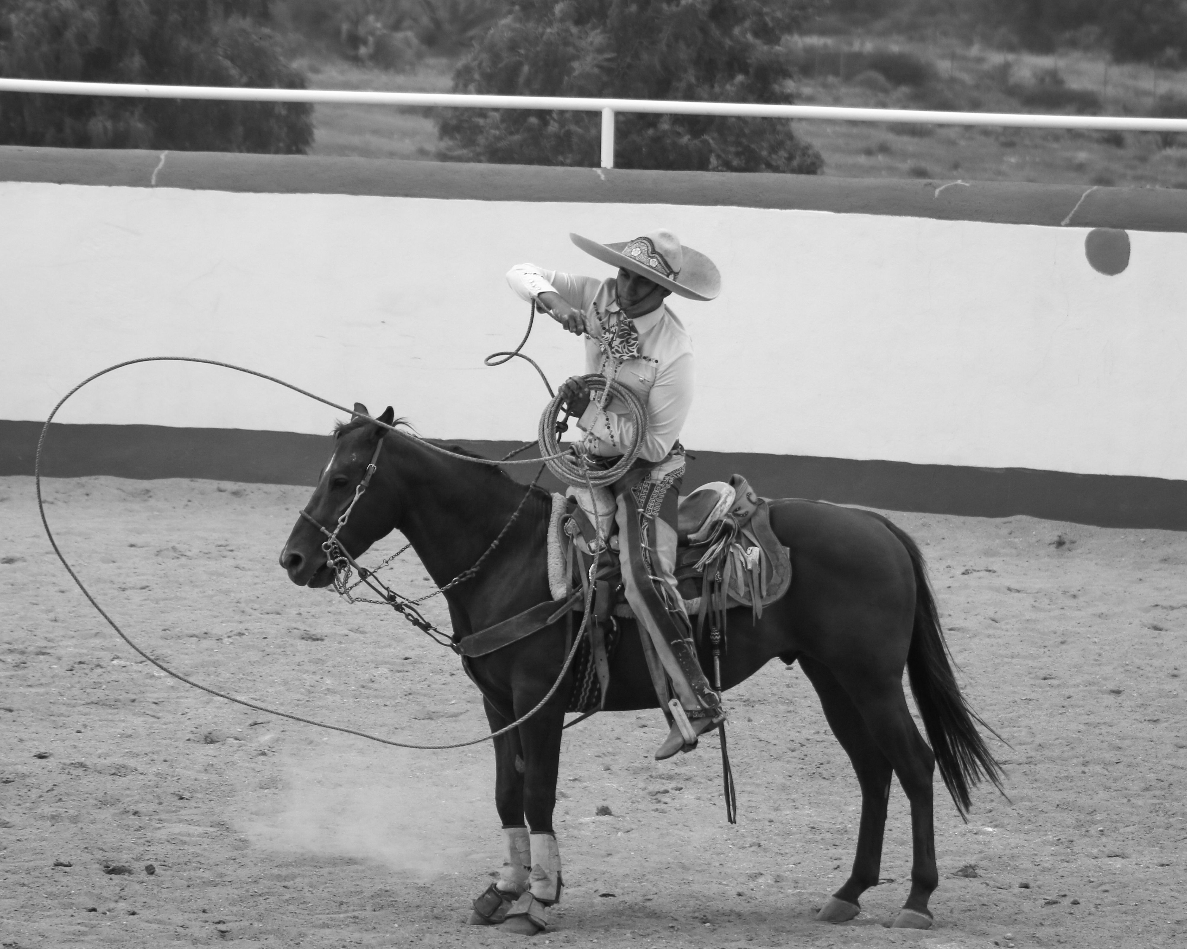 A man in a cowboy hat is lassoing a horse · Free Stock Photo