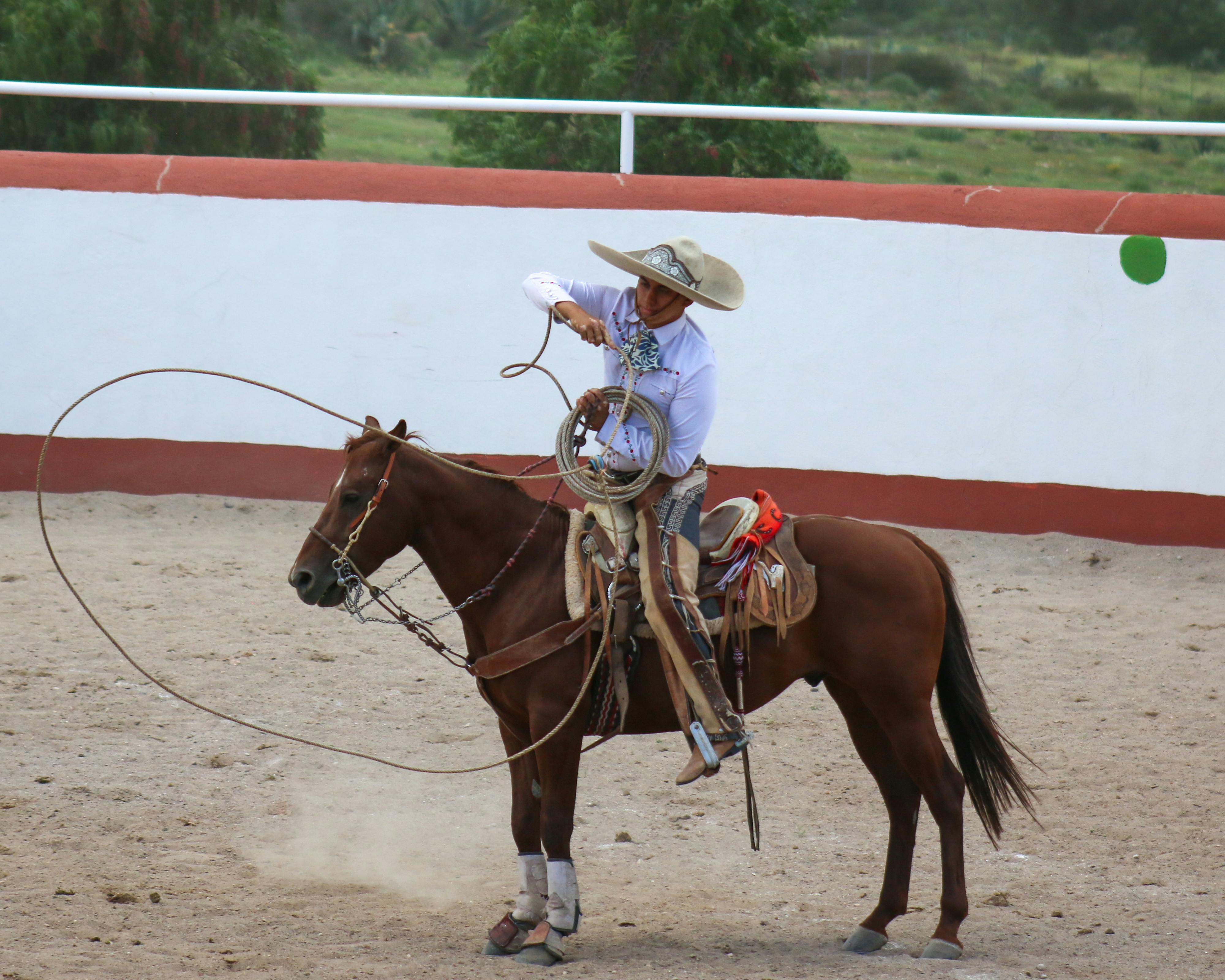 Man Riding a Brown Stallion Inside Ranch · Free Stock Photo