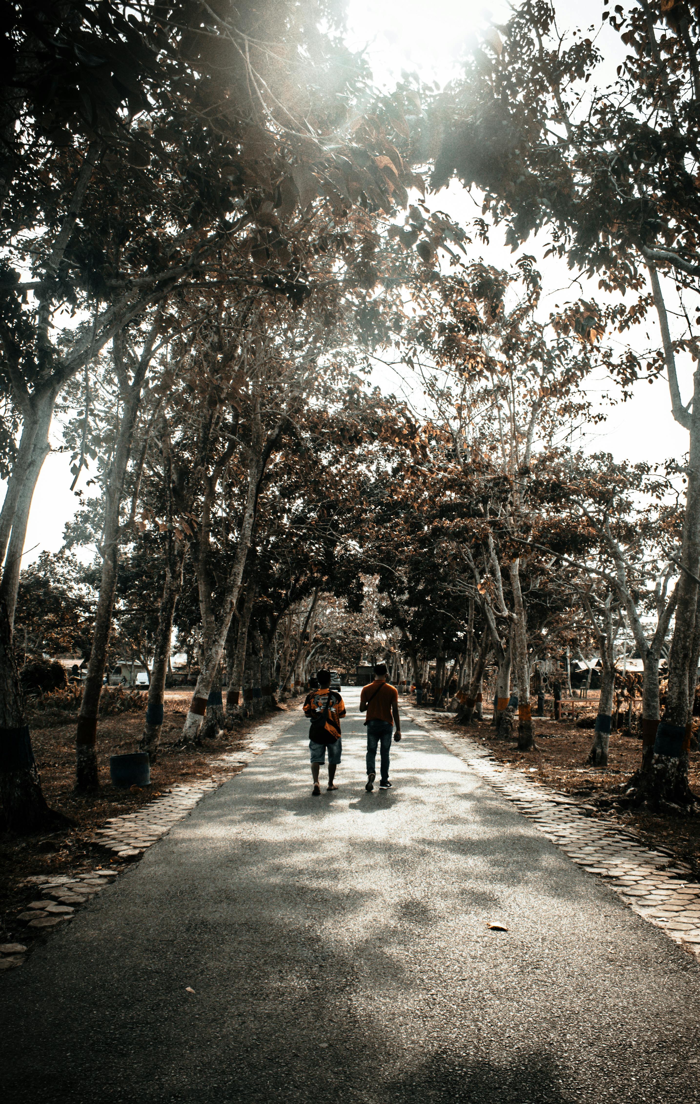 Grayscale Photography of Two Person Walking · Free Stock Photo