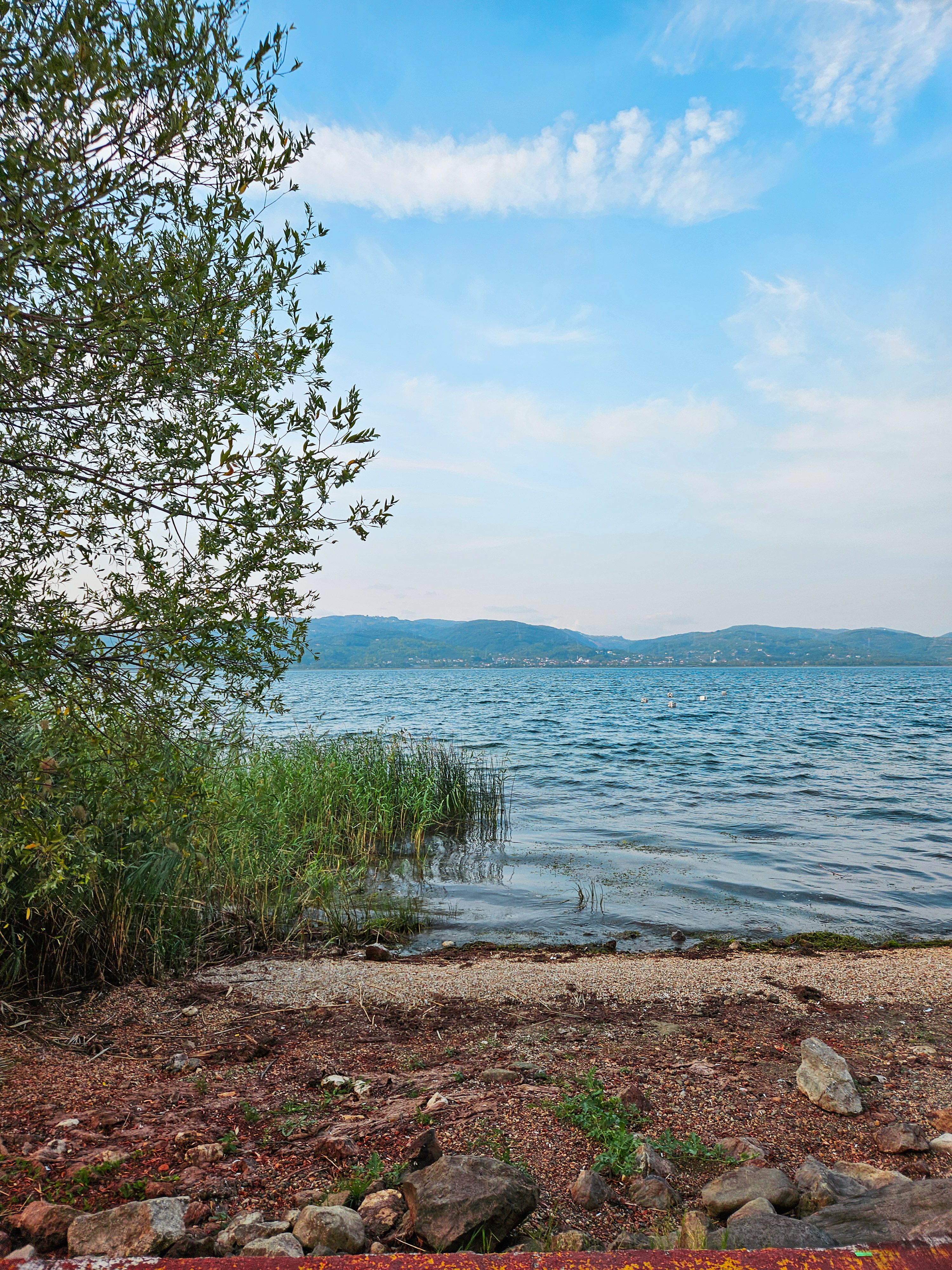 Body of Water · Free Stock Photo
