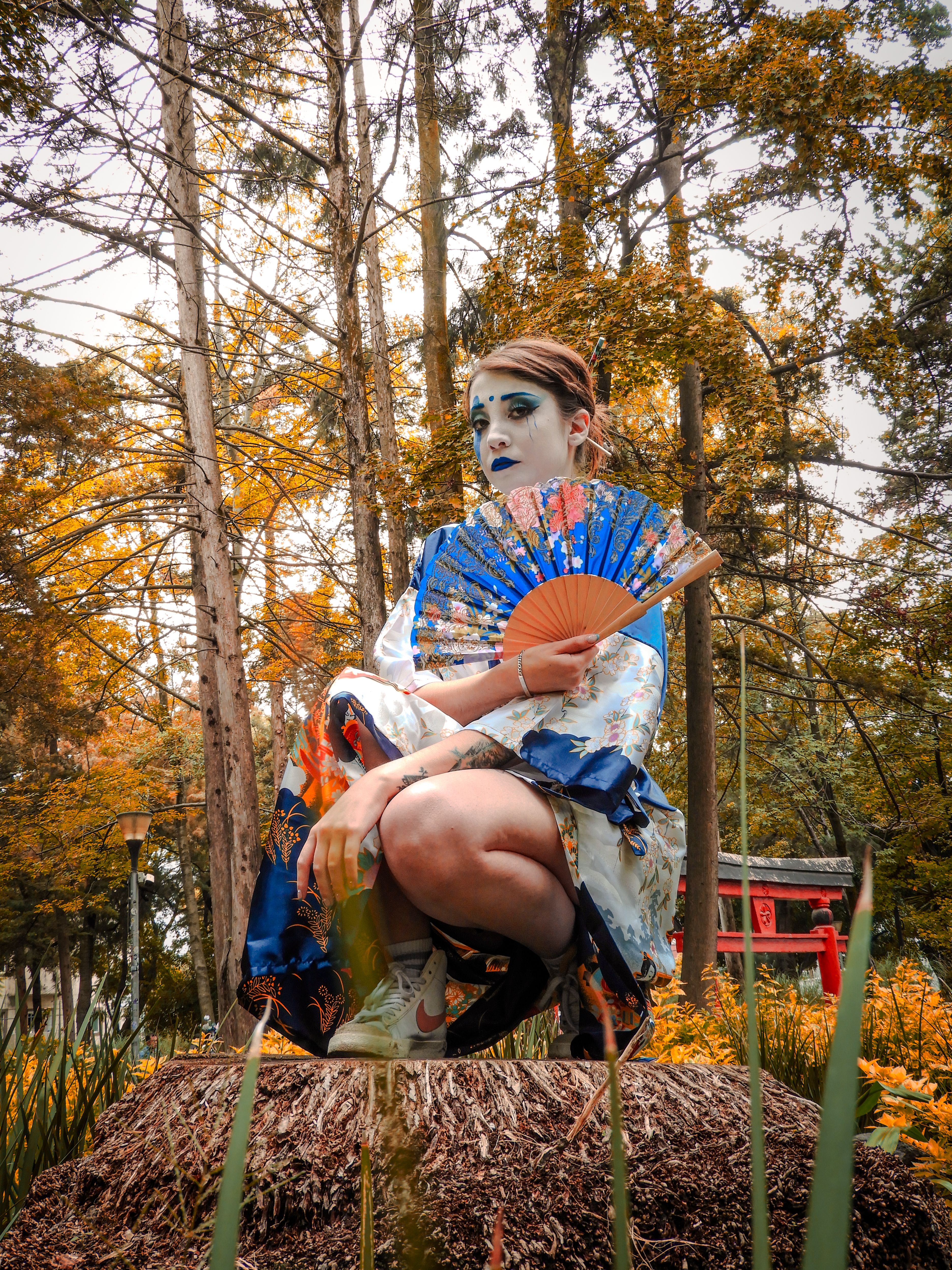 Geisha in Traditional Clothing Crouching at Park · Free Stock Photo