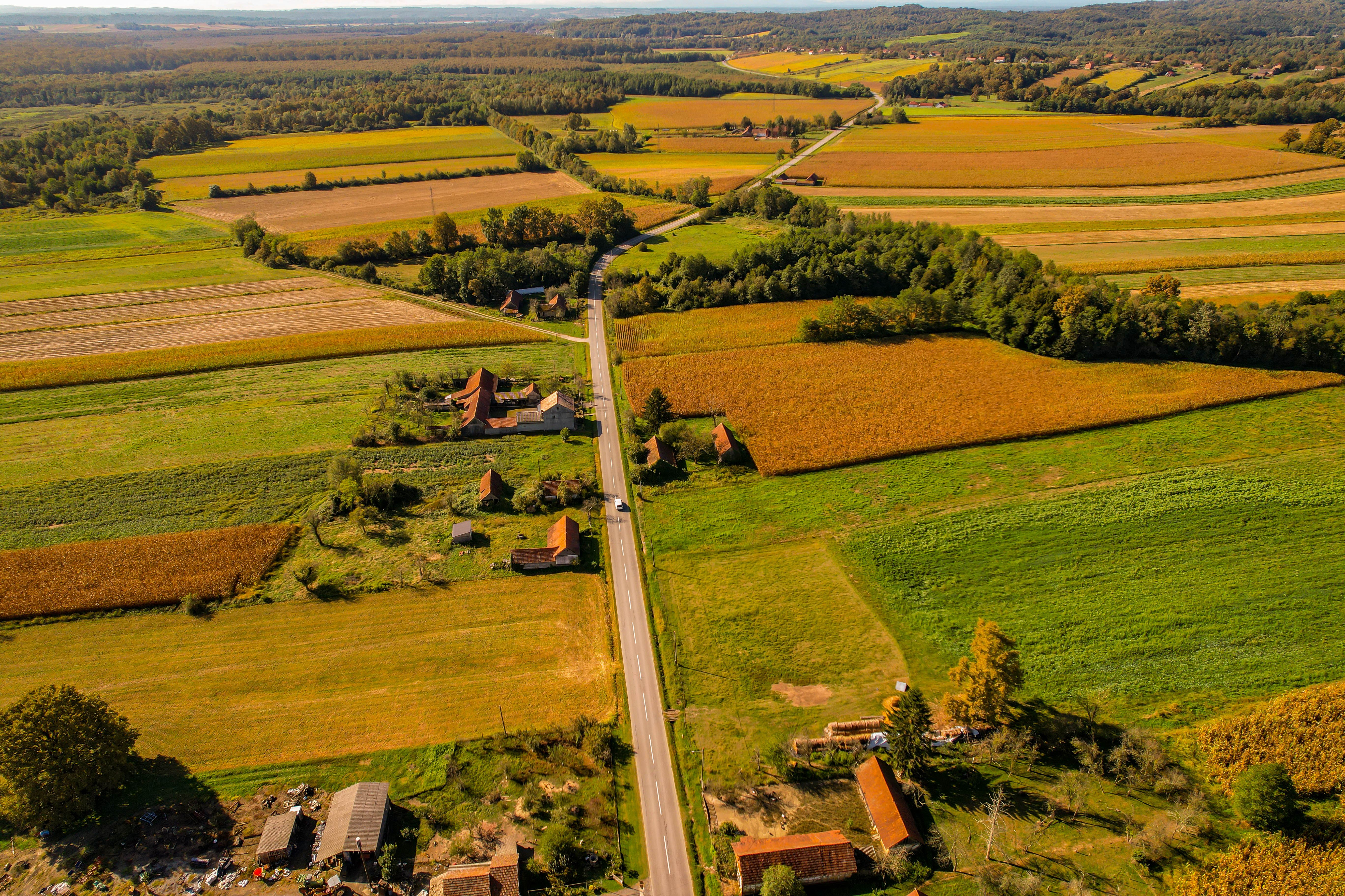 Road Through the Fields from a Birds Eye View · Free Stock Photo