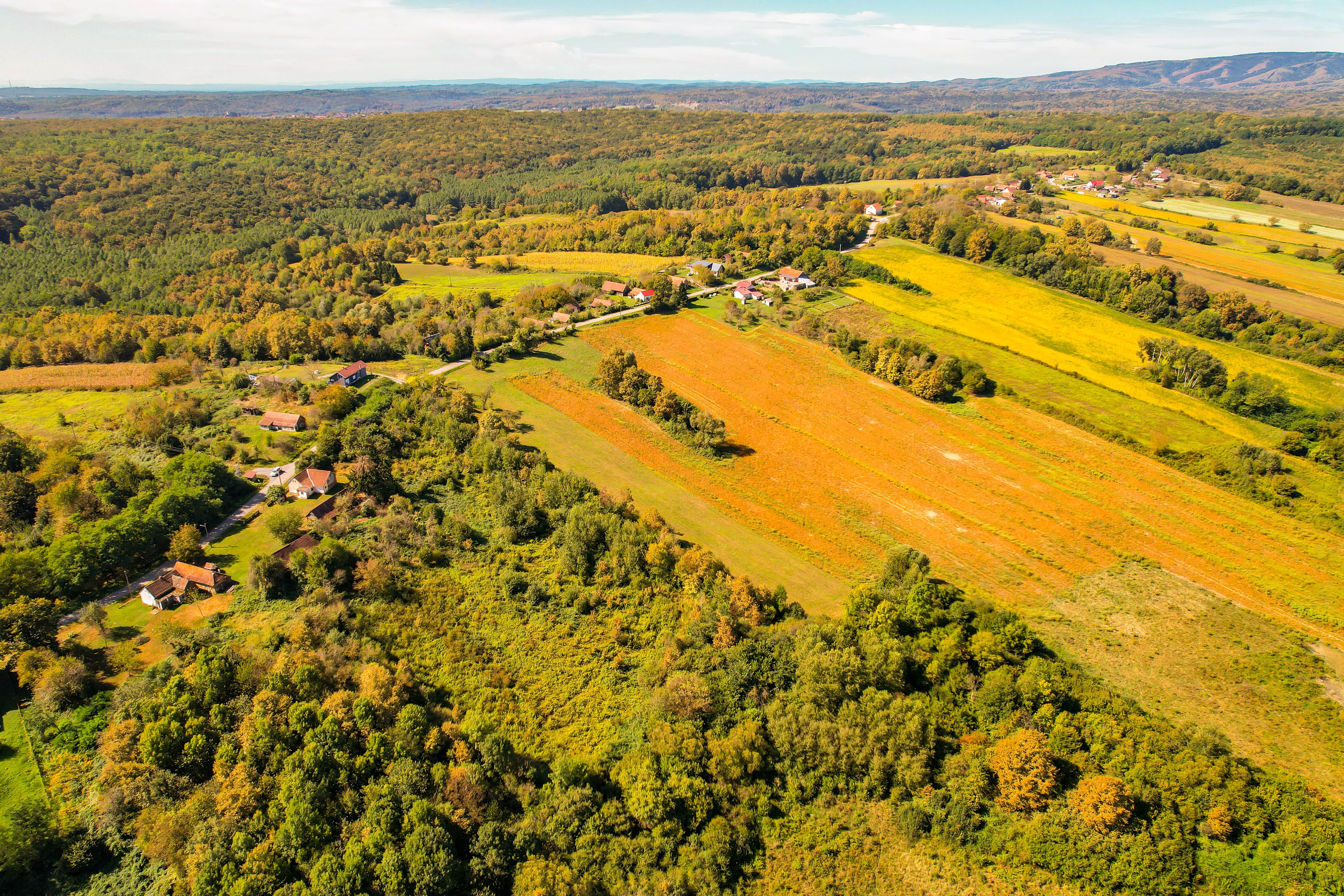 Farms Along the Road Near the Forest · Free Stock Photo