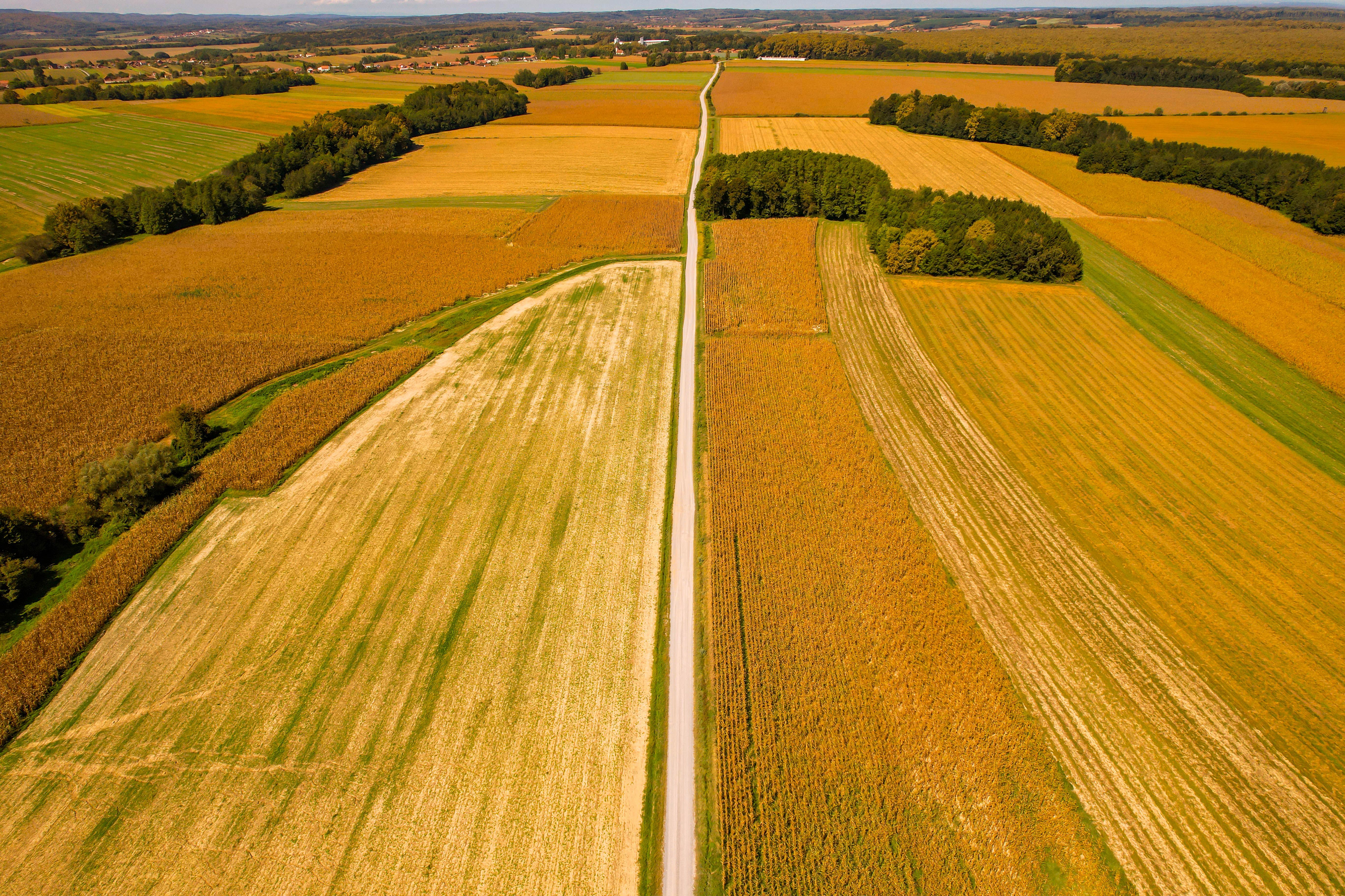 Aerial View of Fields from Above the Road · Free Stock Photo