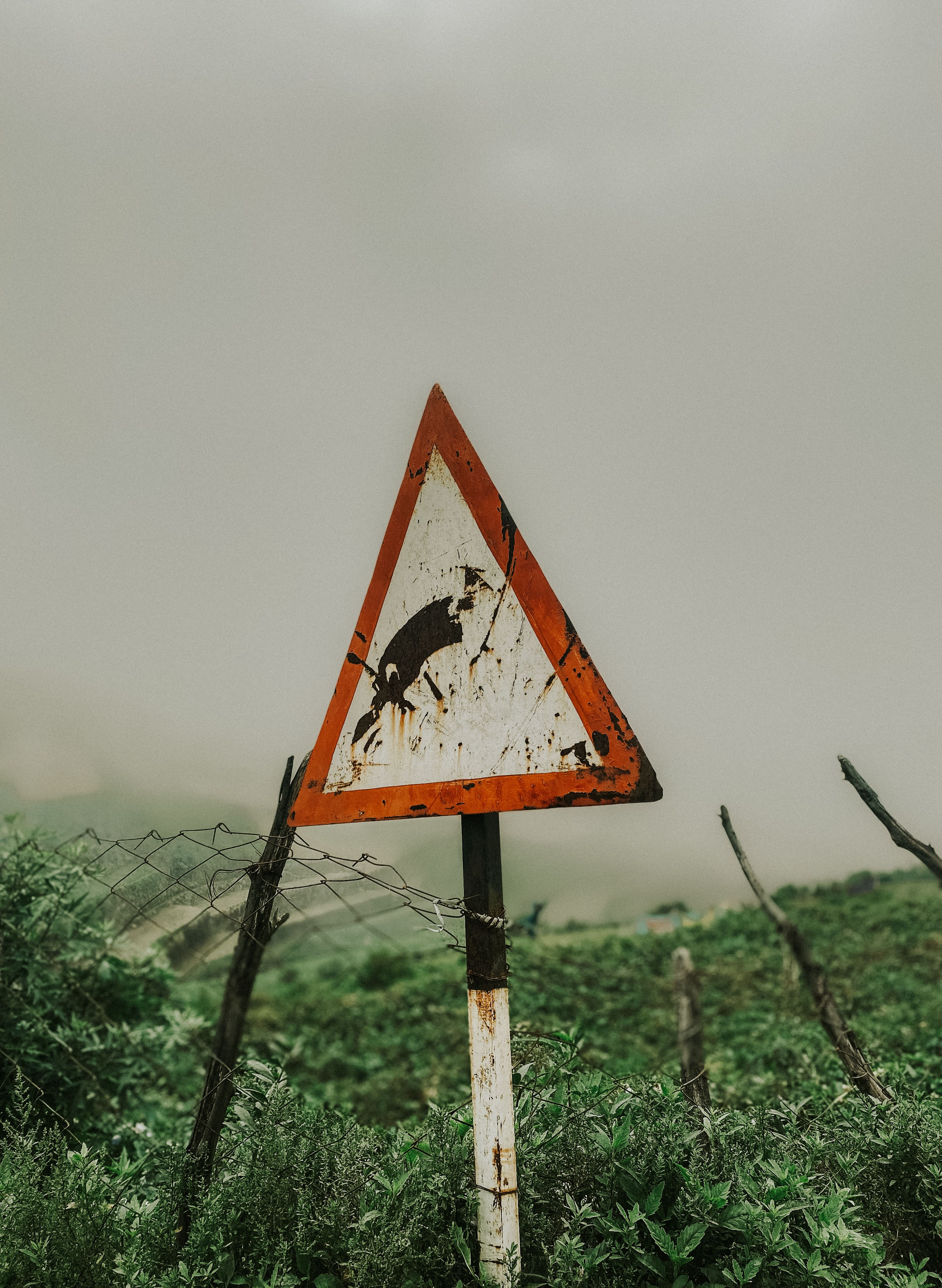 Weathered Road Sign · Free Stock Photo
