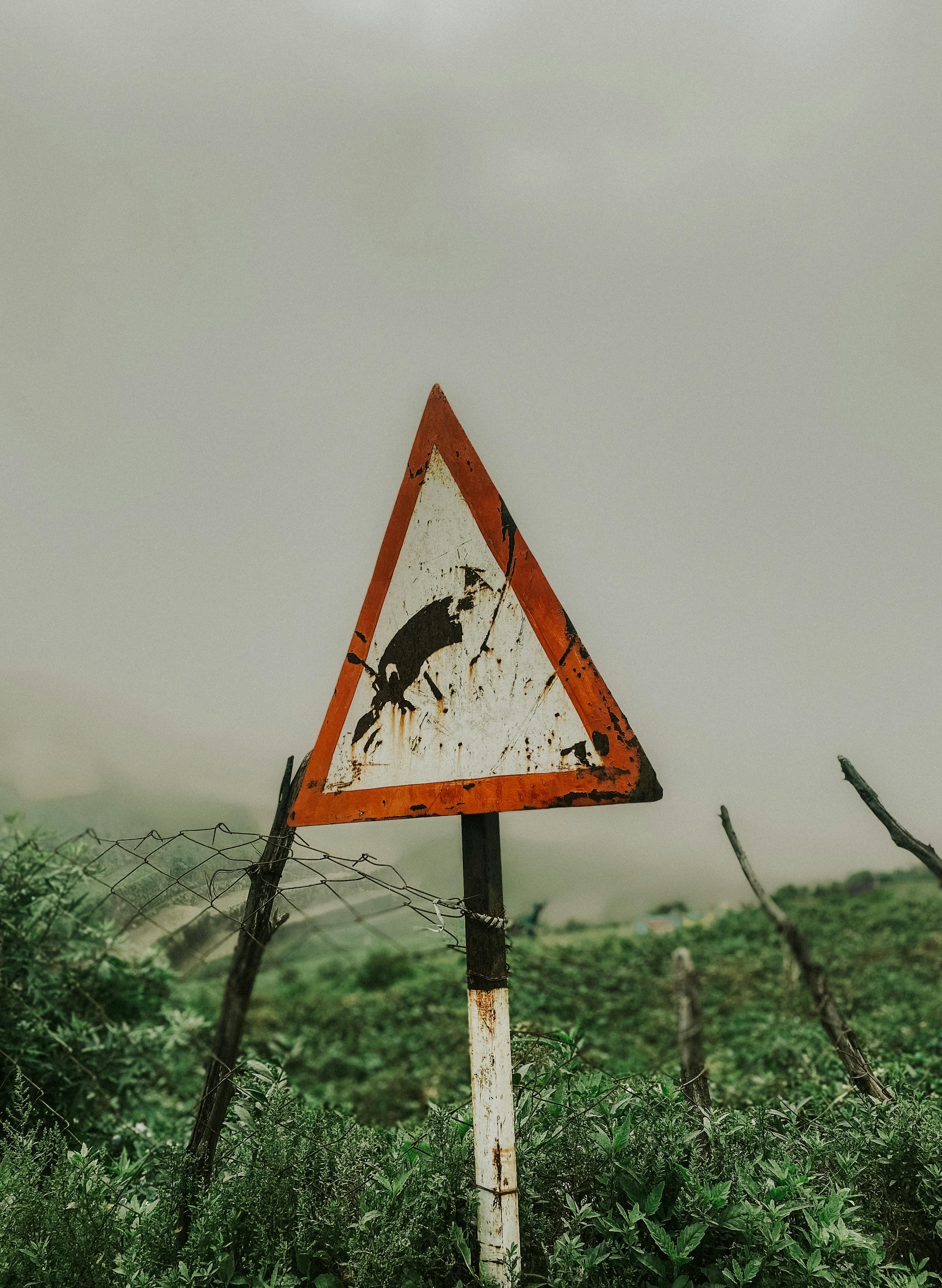 Kodaikanalv Poondi Photos, Download The BEST Free Kodaikanalv Poondi ...