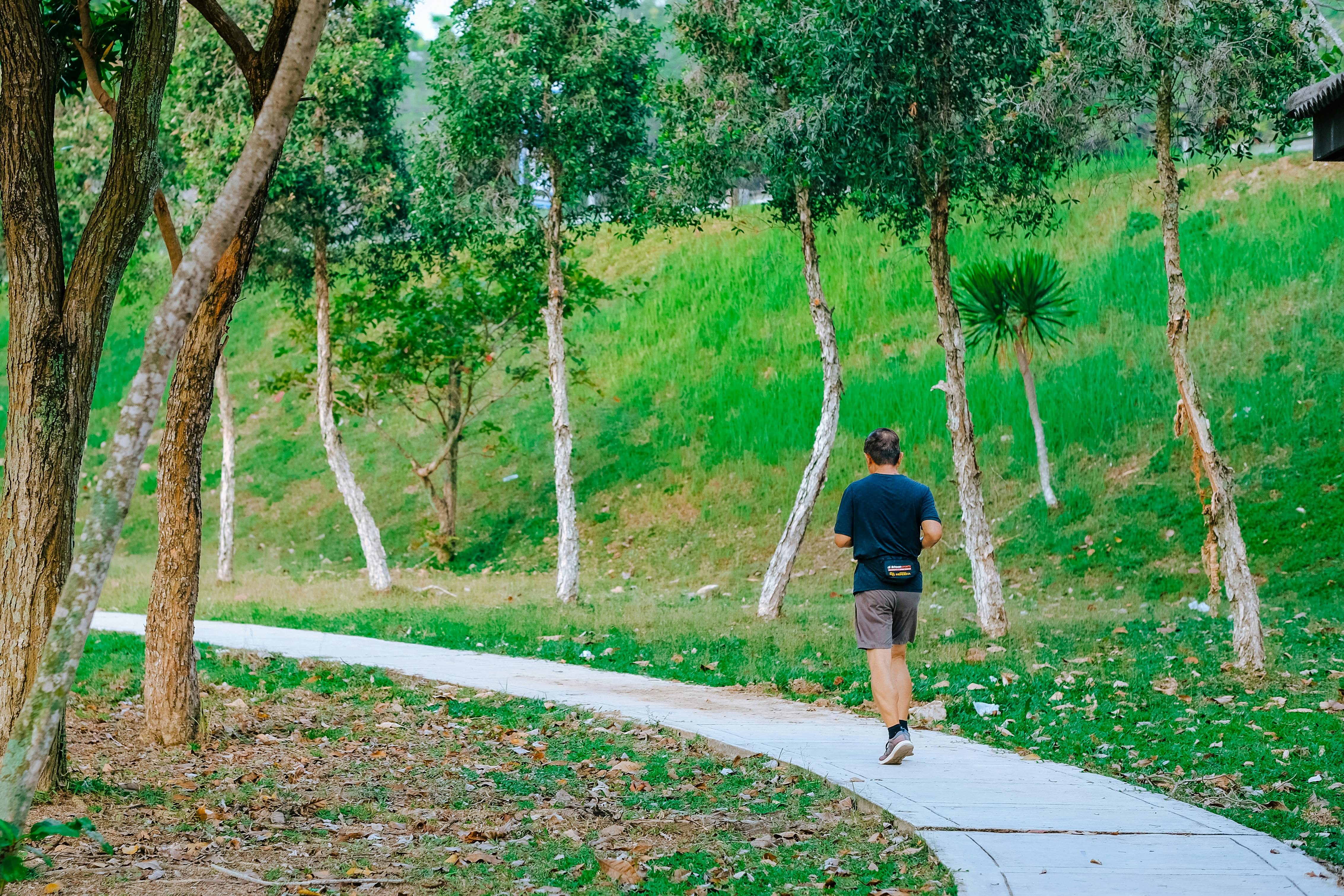 Runners In The Park Photos, Download The BEST Free Runners In The Park ...