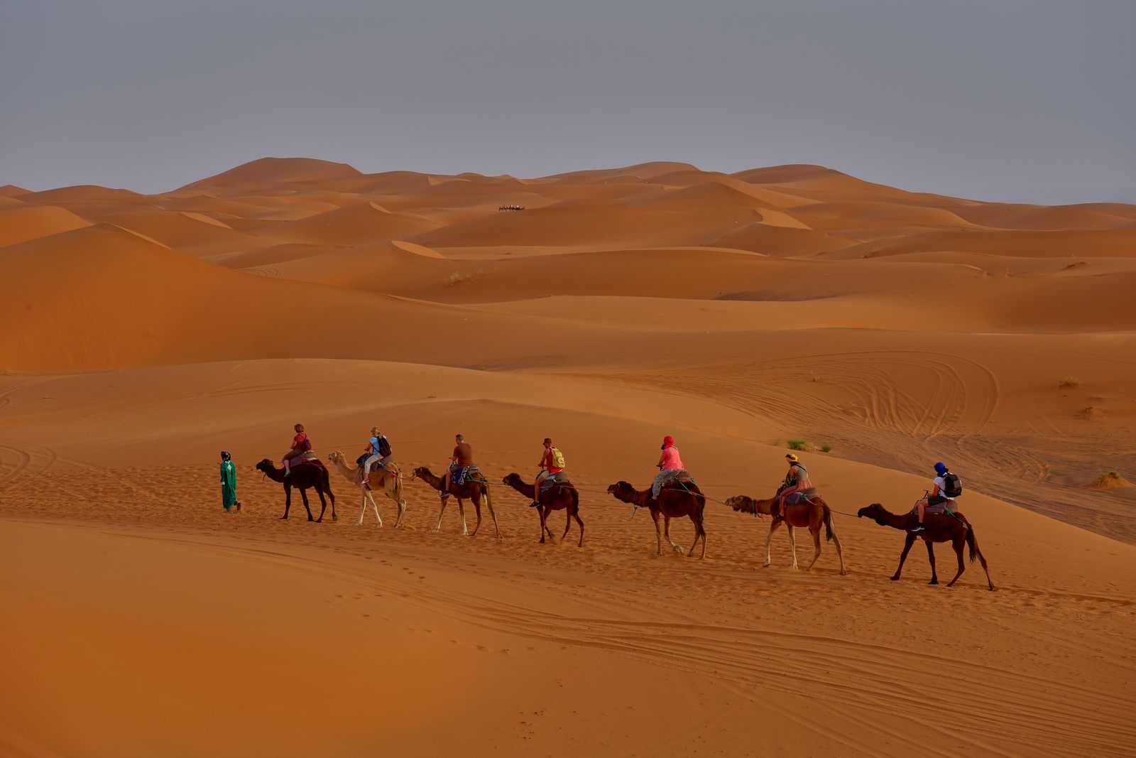Sahara Desert Photos, Download The BEST Free Sahara Desert Stock Photos ...