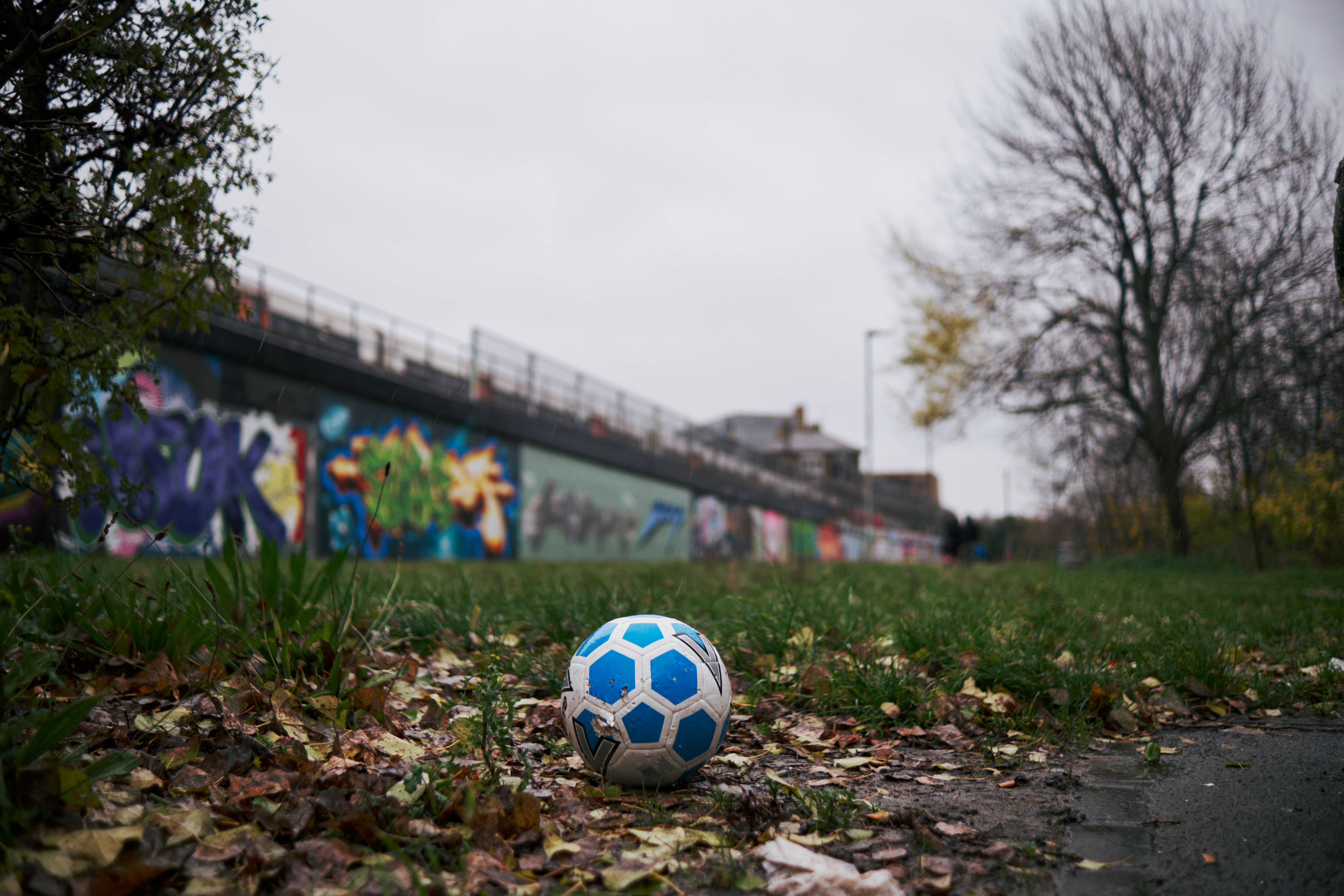 Ball on Fallen Leaves and Grass in Park in London, England · Free Stock ...