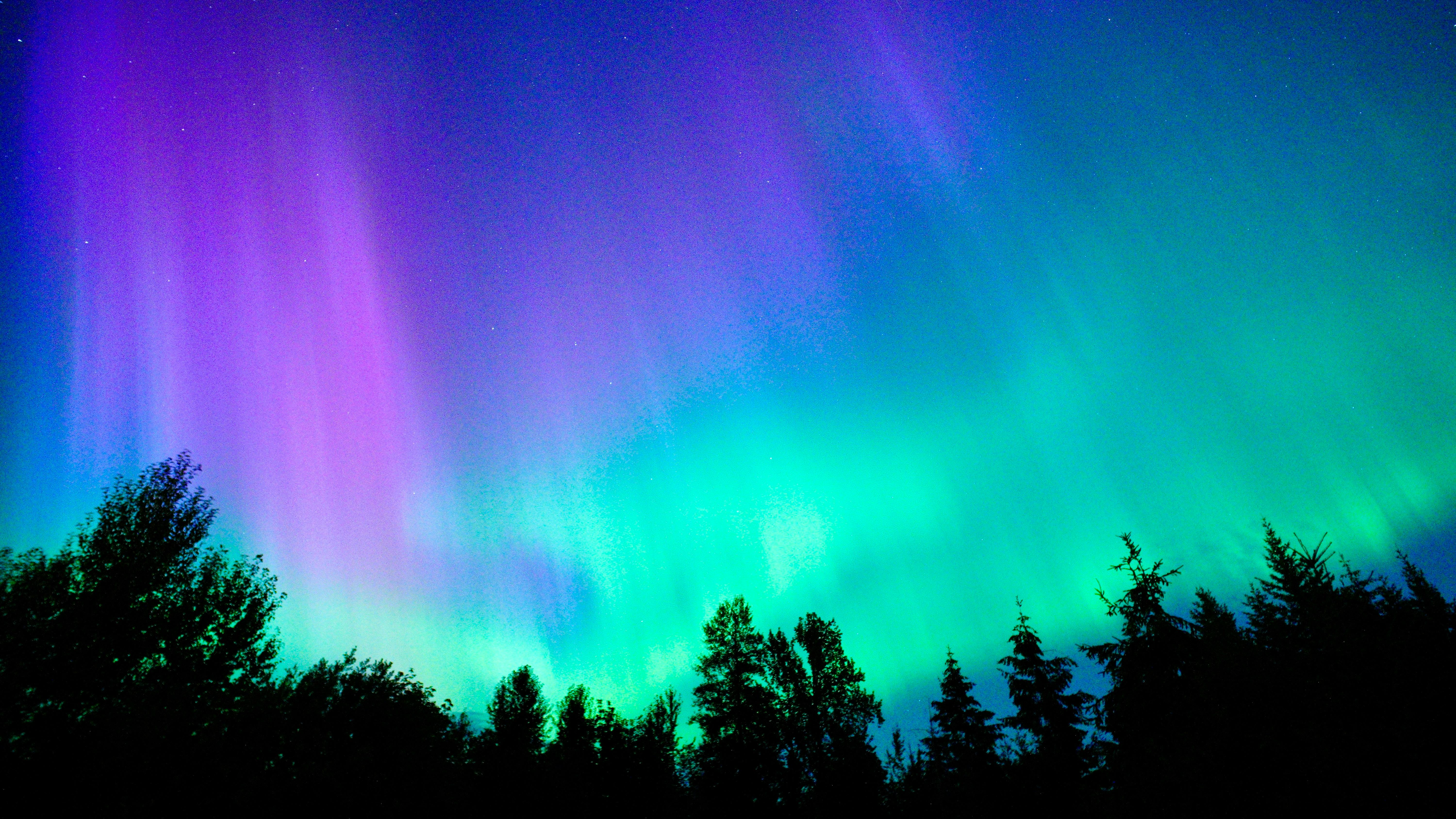 Orth Photos, Download The BEST Free Orth Stock Photos & HD Images