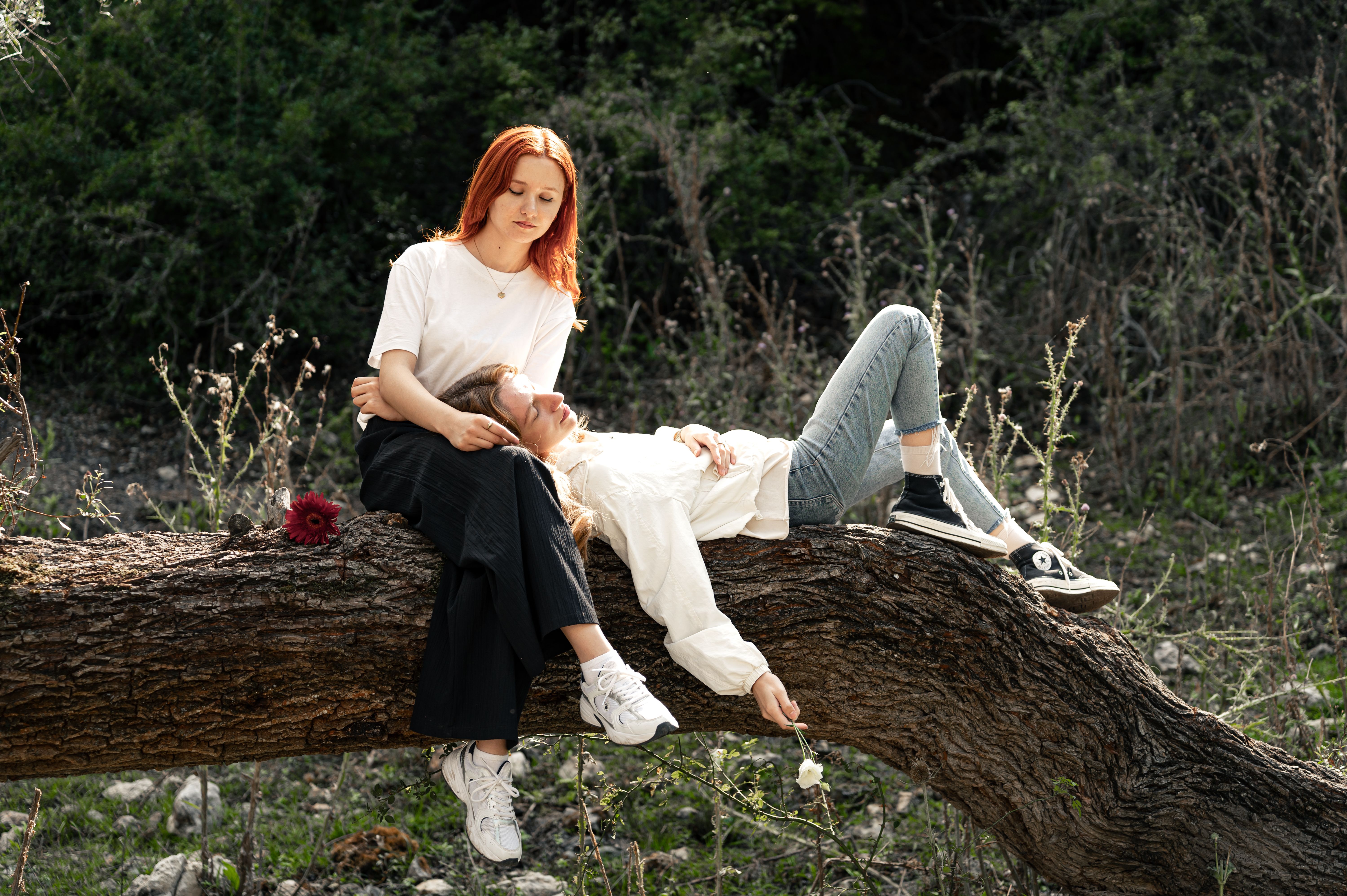 Couple in Forest Sitting on Tree Branch · Free Stock Photo