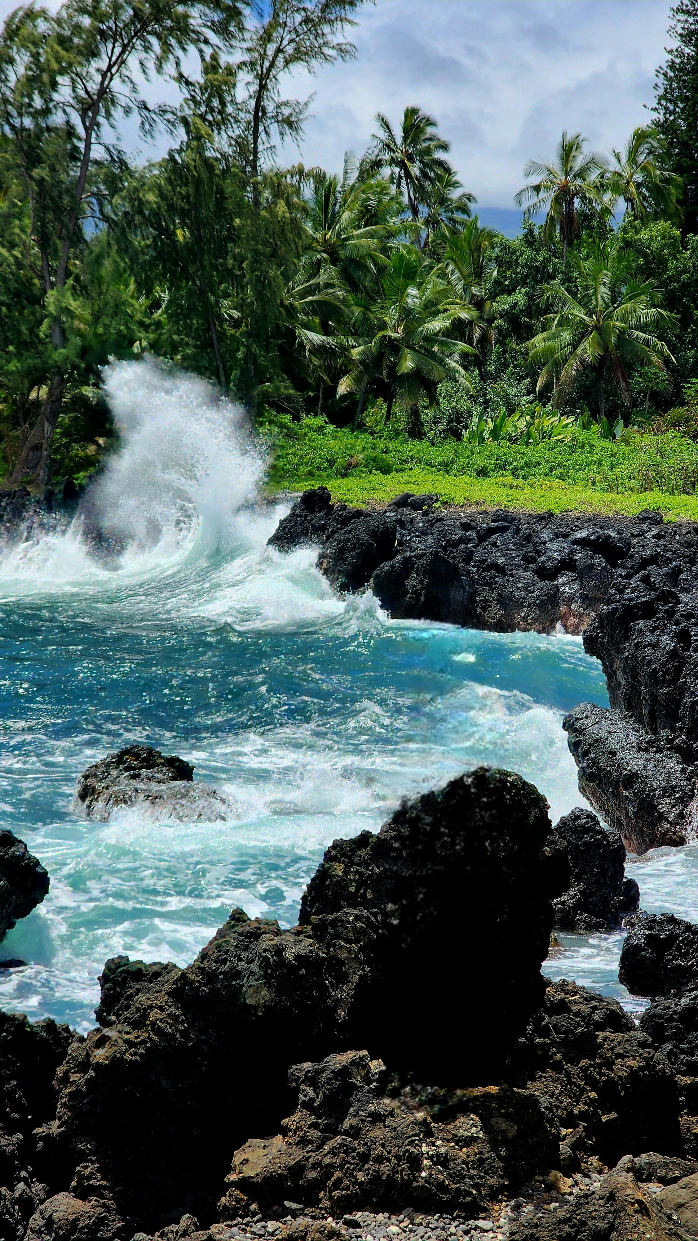Dramatic Ocean Wave at Hawaii Volcanoes National Park · Free Stock Photo