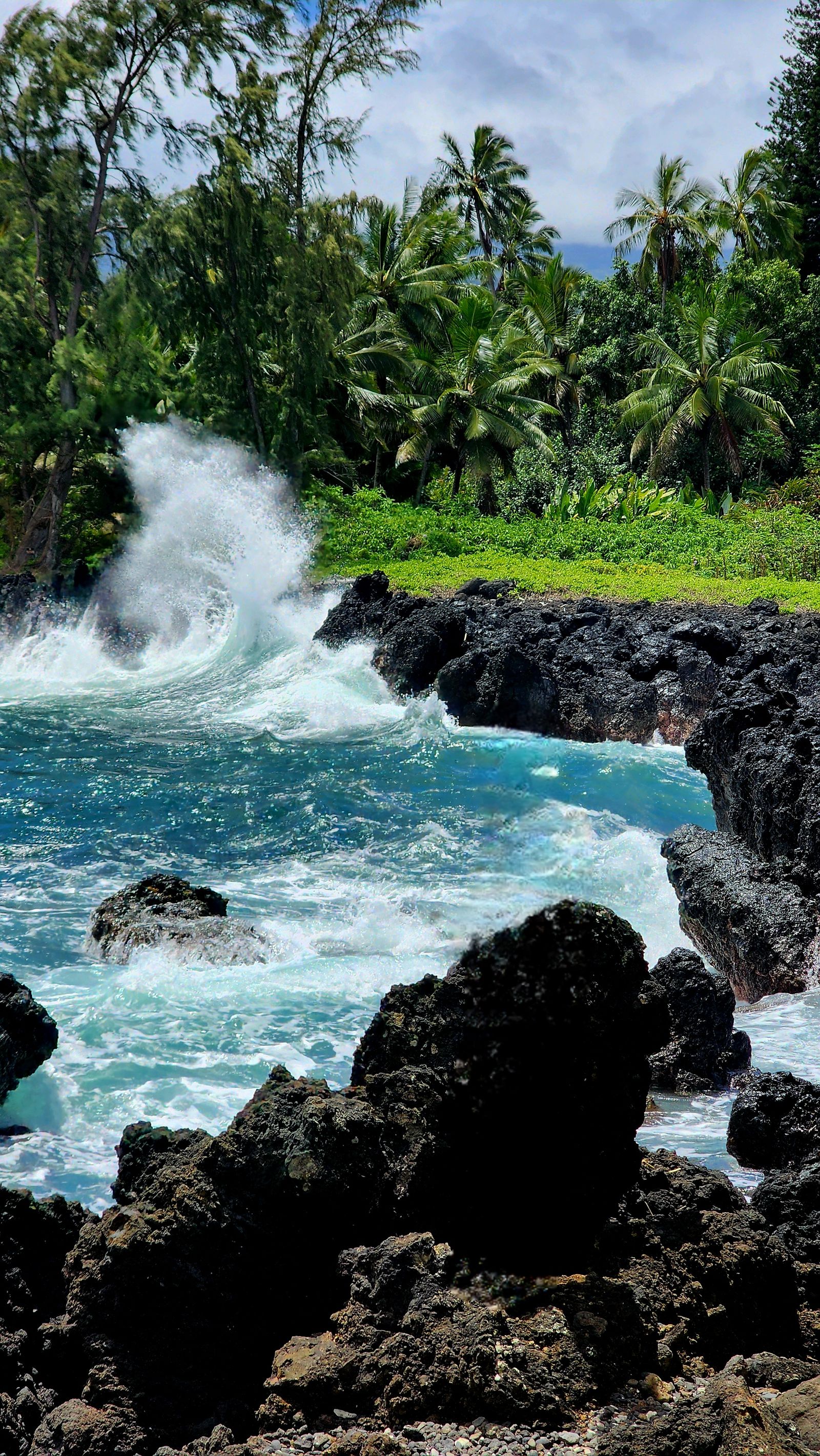 Hawaii Backgrounds Photos, Download The BEST Free Hawaii Backgrounds ...