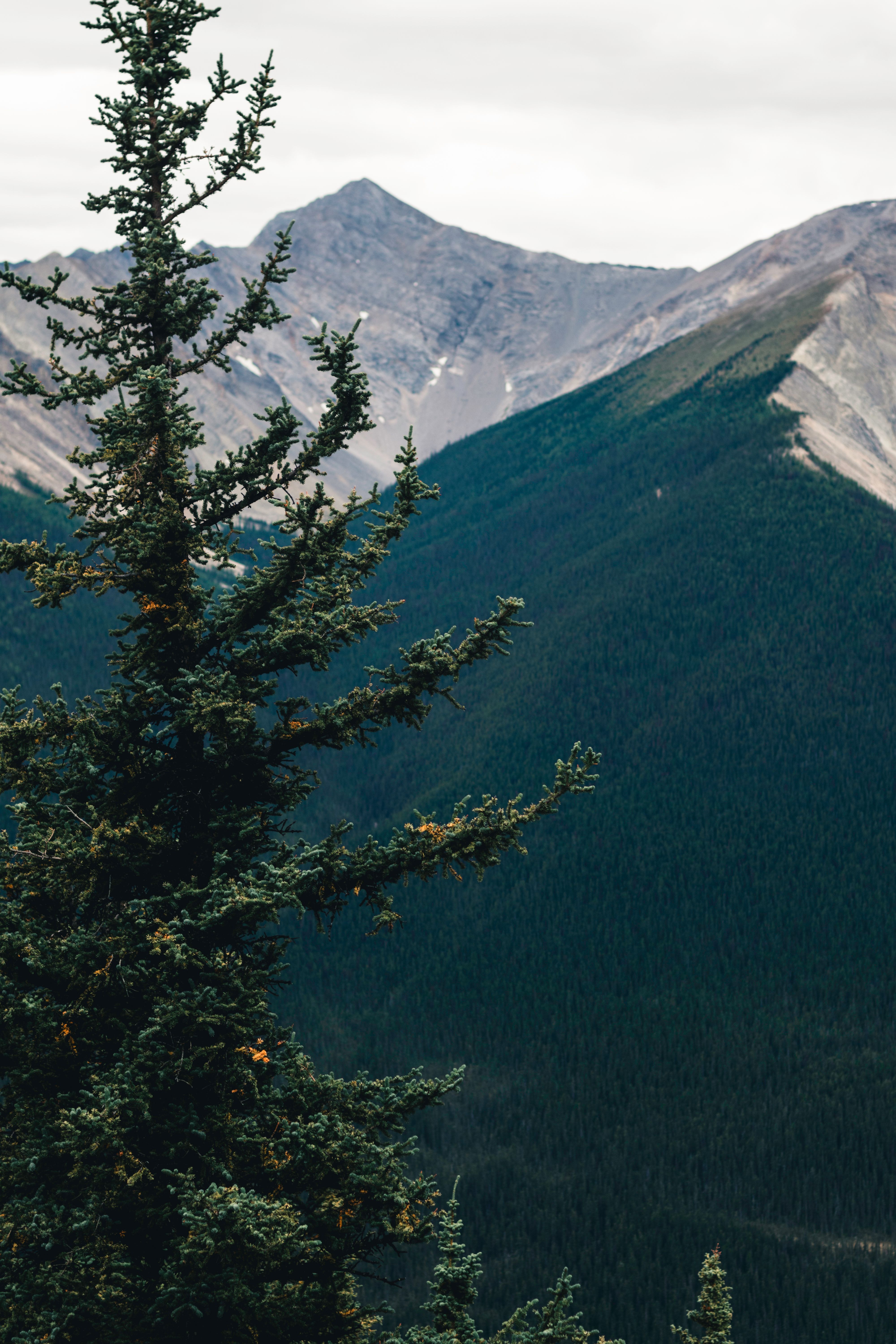 Banff, Jasper, Golden and Glacier National Park · Free Stock Photo