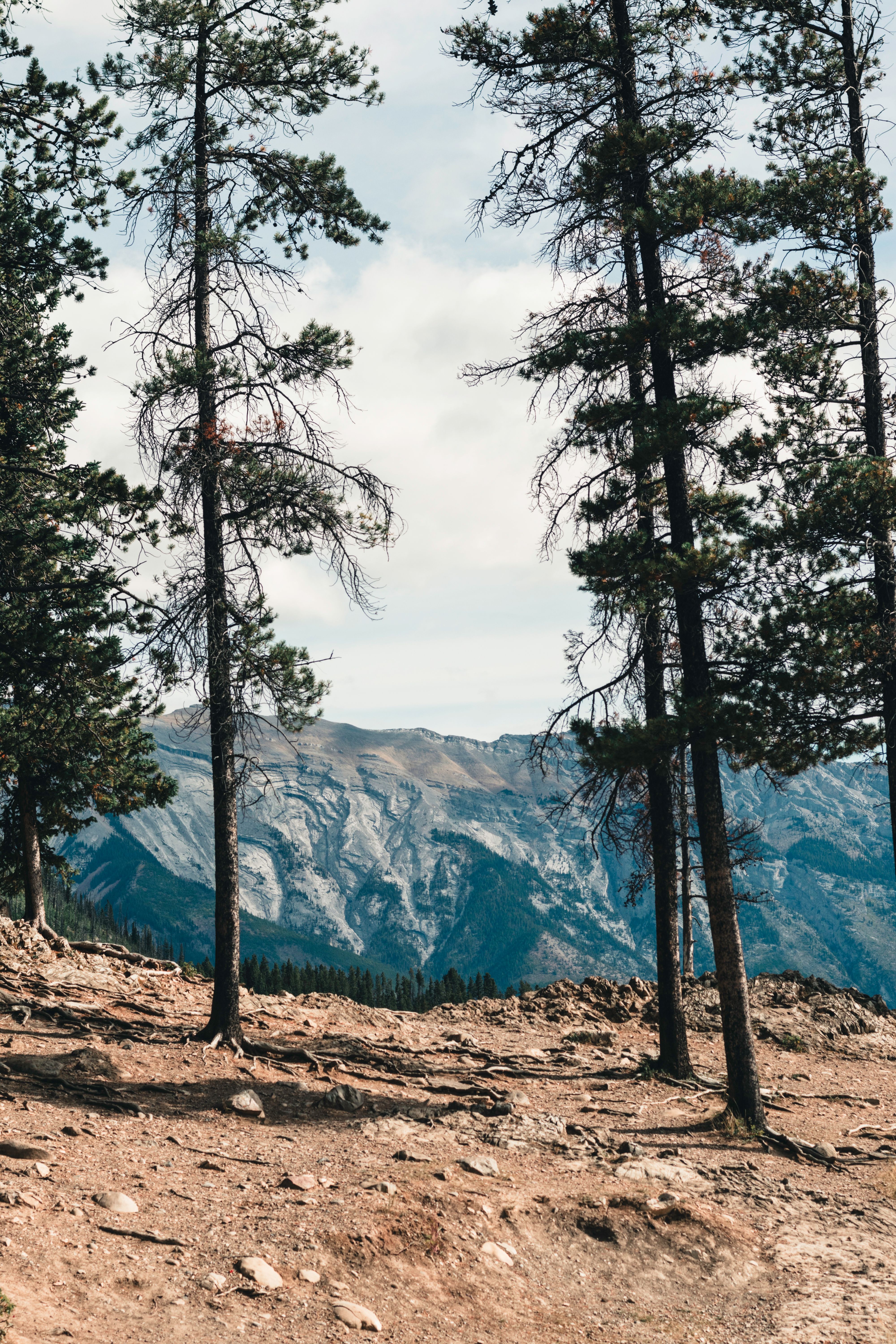 Banff, Jasper, Golden and Glacier National Park · Free Stock Photo
