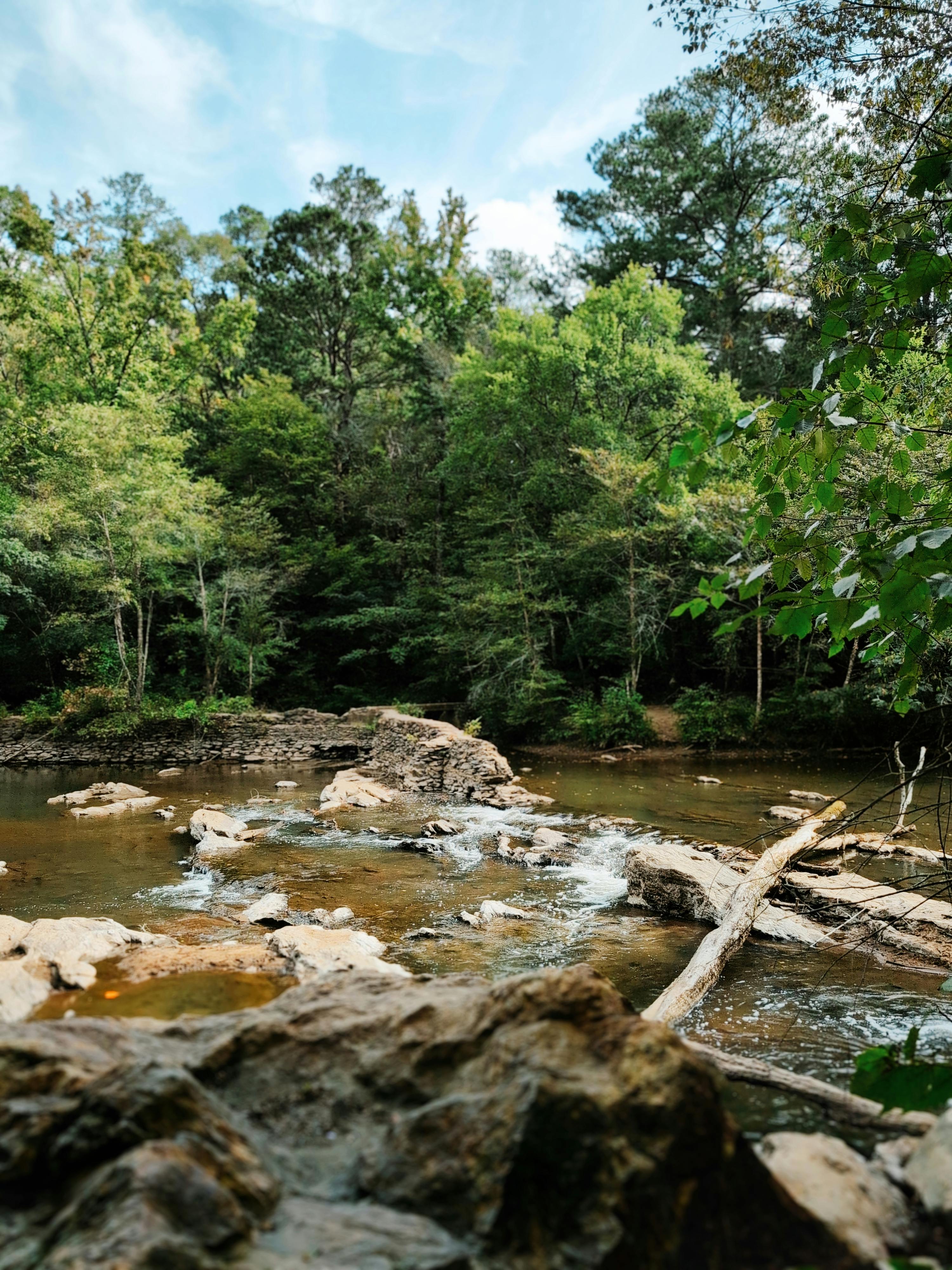 A river in the woods with rocks and trees · Free Stock Photo