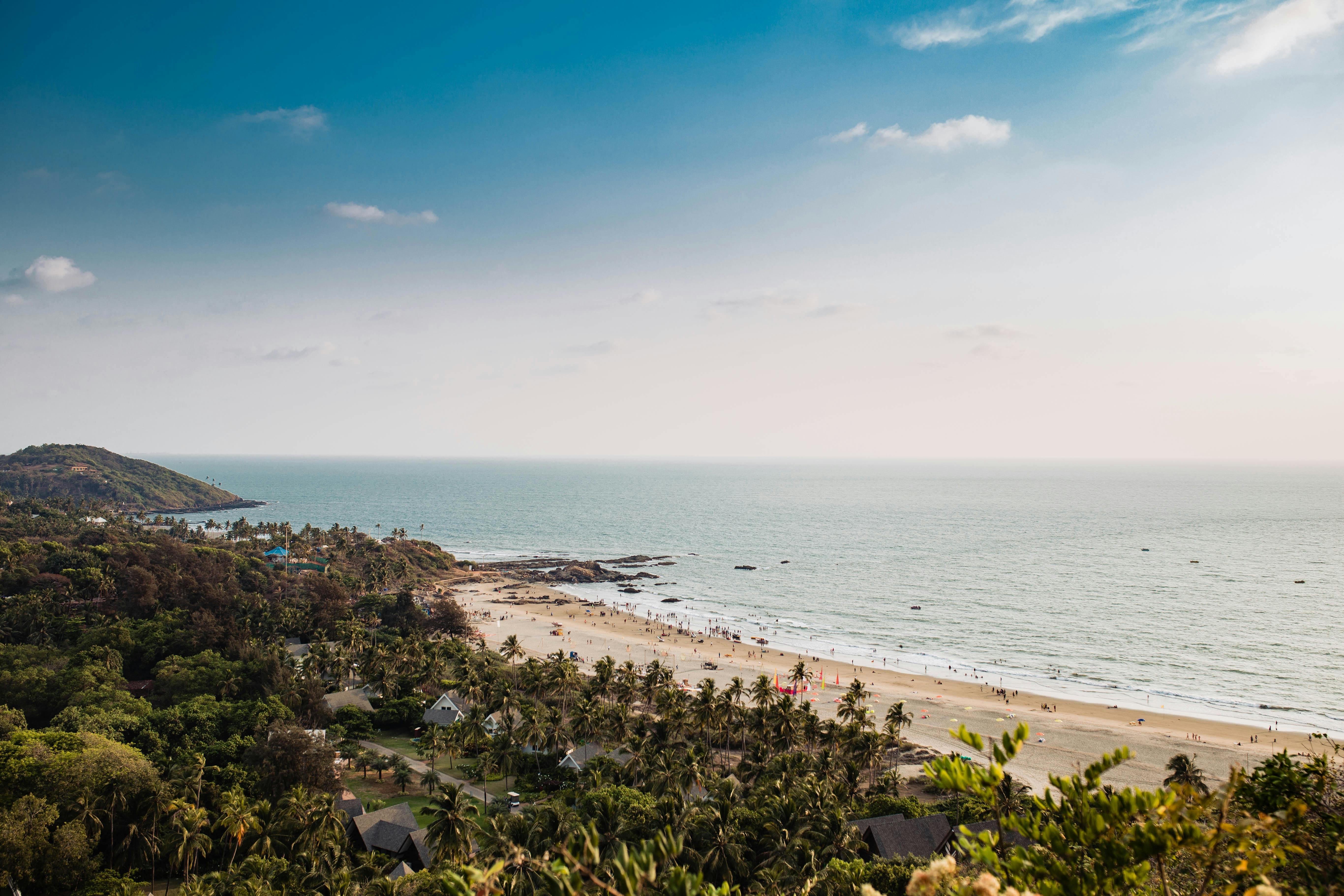 Seashore with Trees Under a Blue Sky · Free Stock Photo