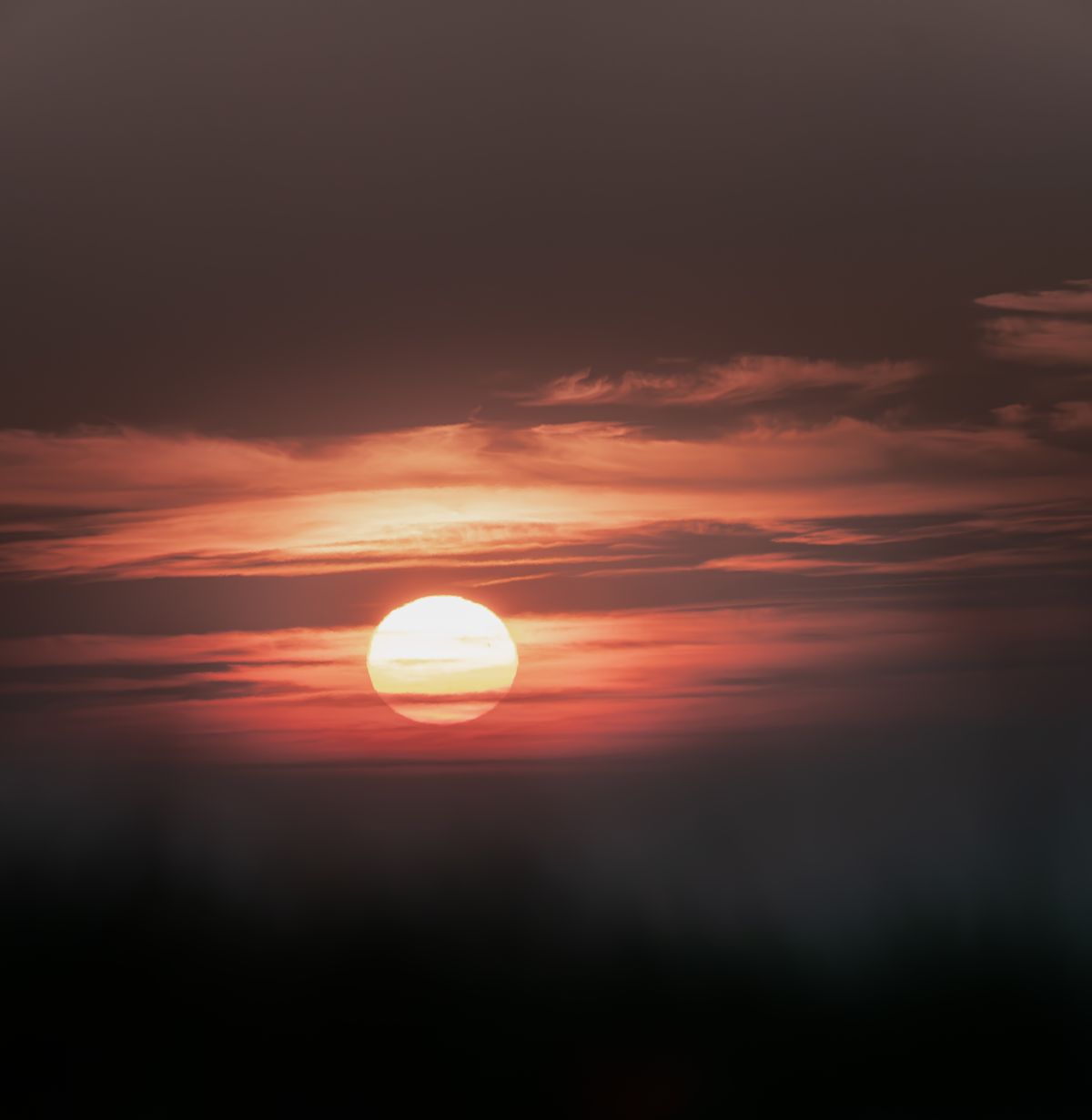 Good Morning Sun Photos, Download The BEST Free Good Morning Sun Stock ...