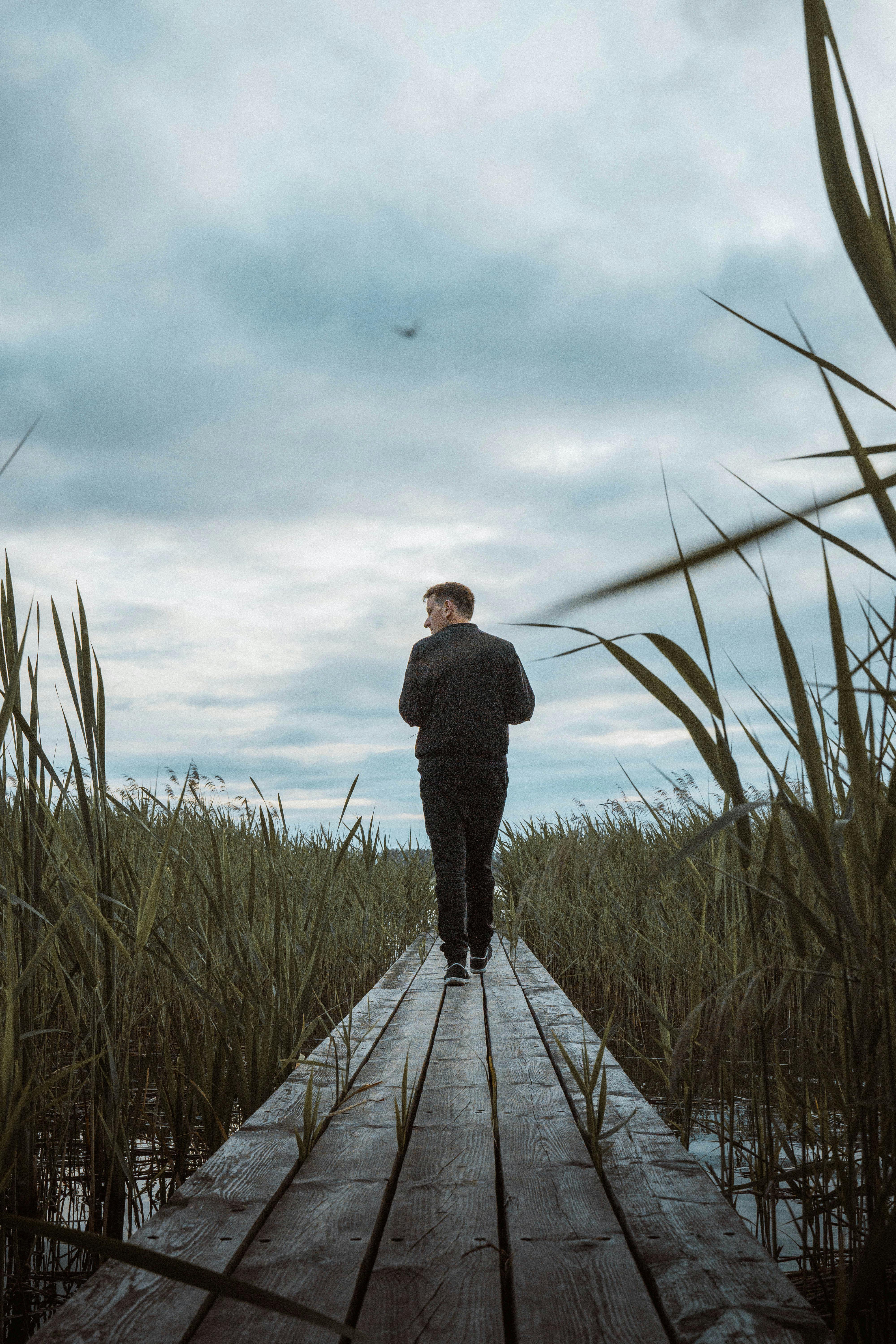 a solitary walk along a narrow wooden path through tall grass under an ...