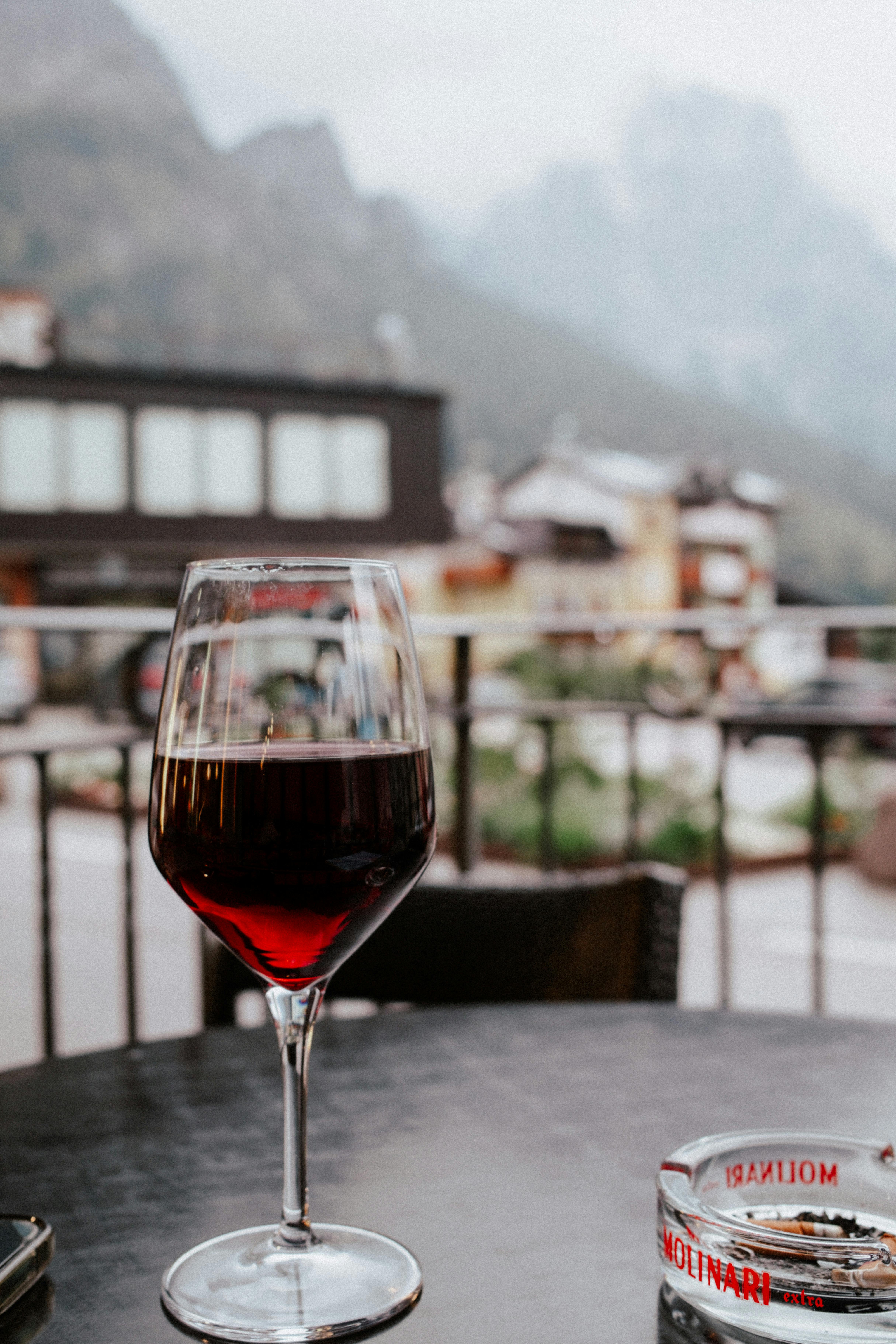 Person Holding Wine Glass in Mountains · Free Stock Photo