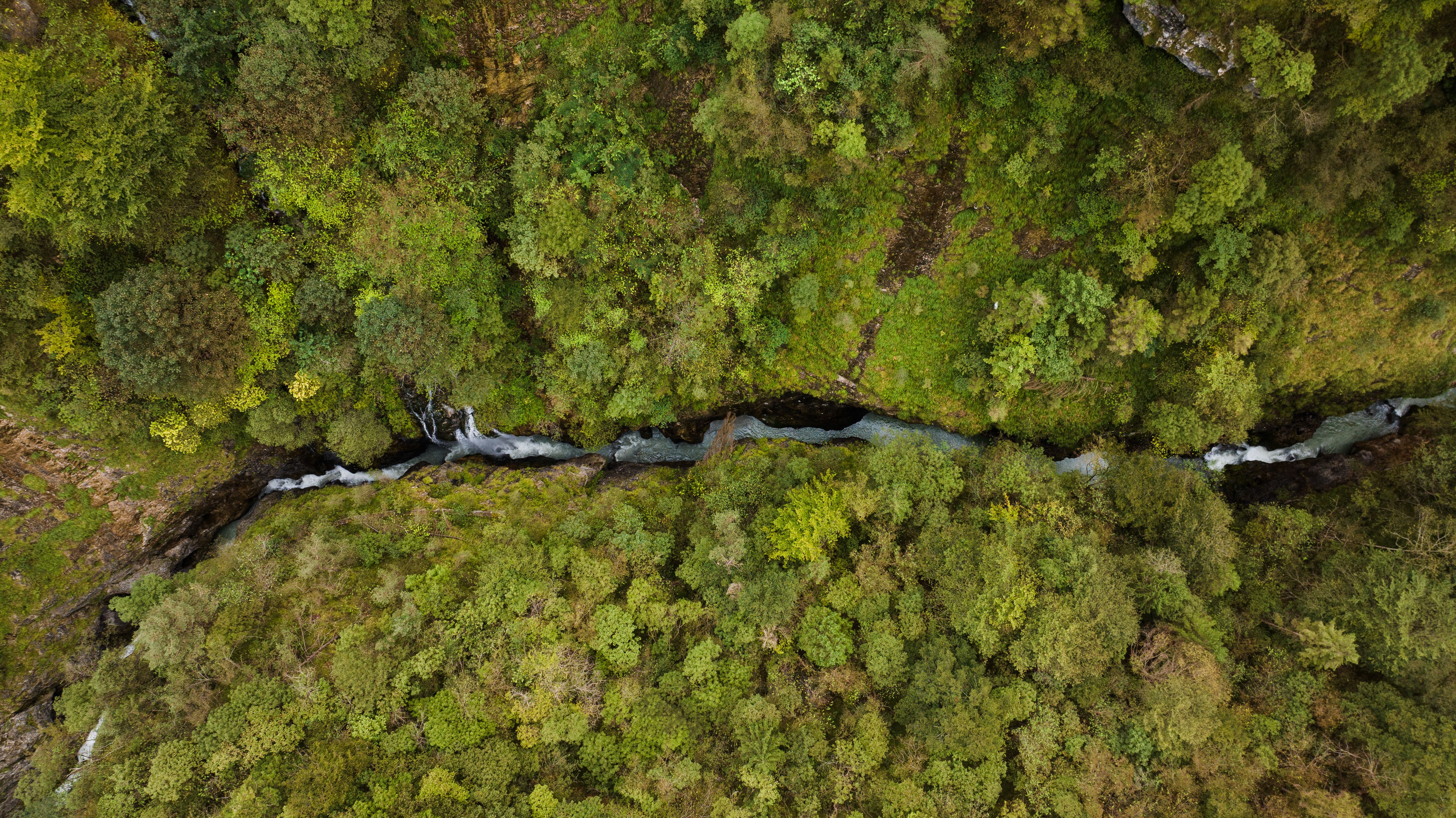 Stream in a Gully from a Birds Eye View · Free Stock Photo