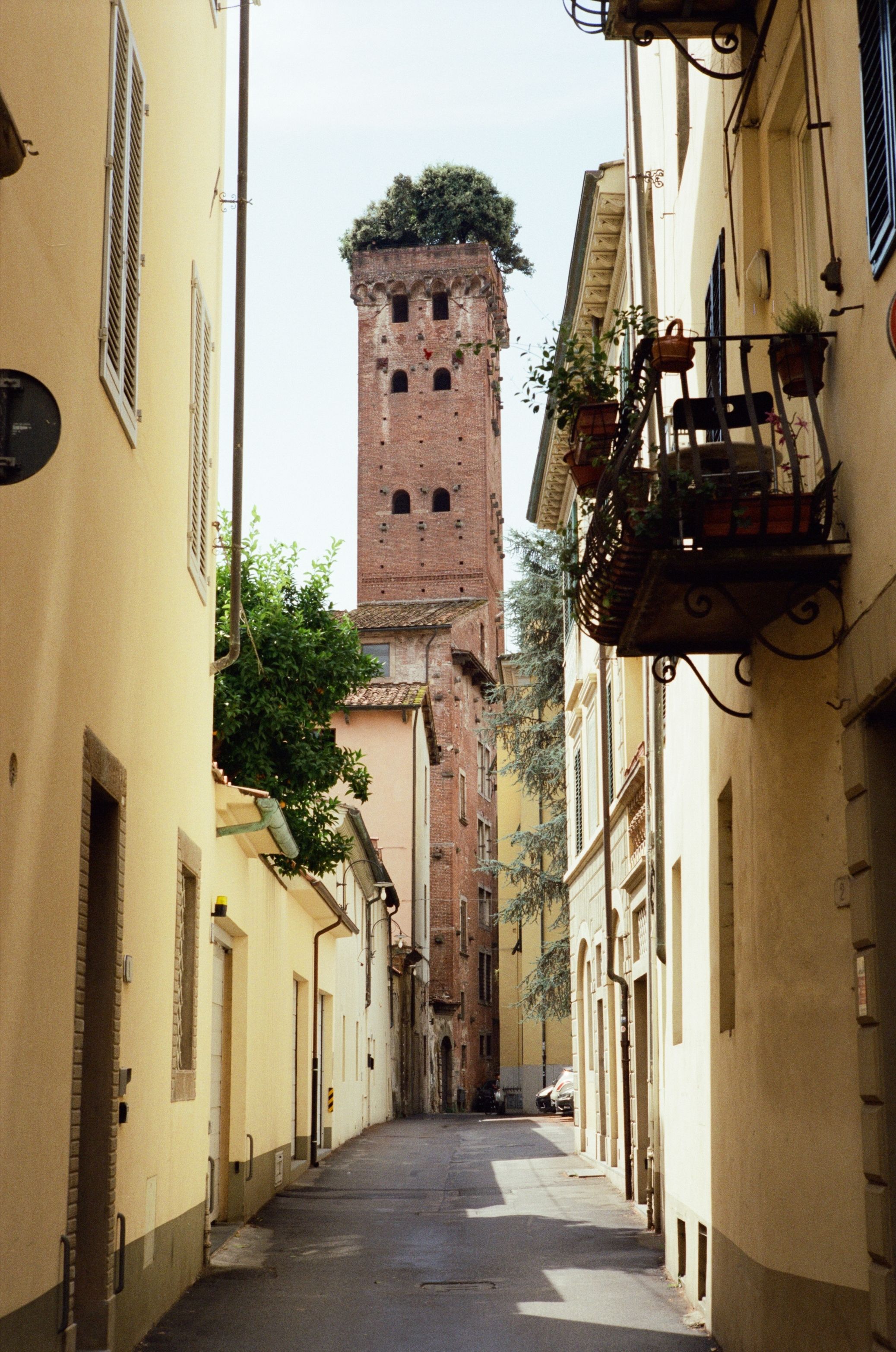 Scenic View of Torre Guinigi in Lucca's Quaint Alley · Free Stock Photo