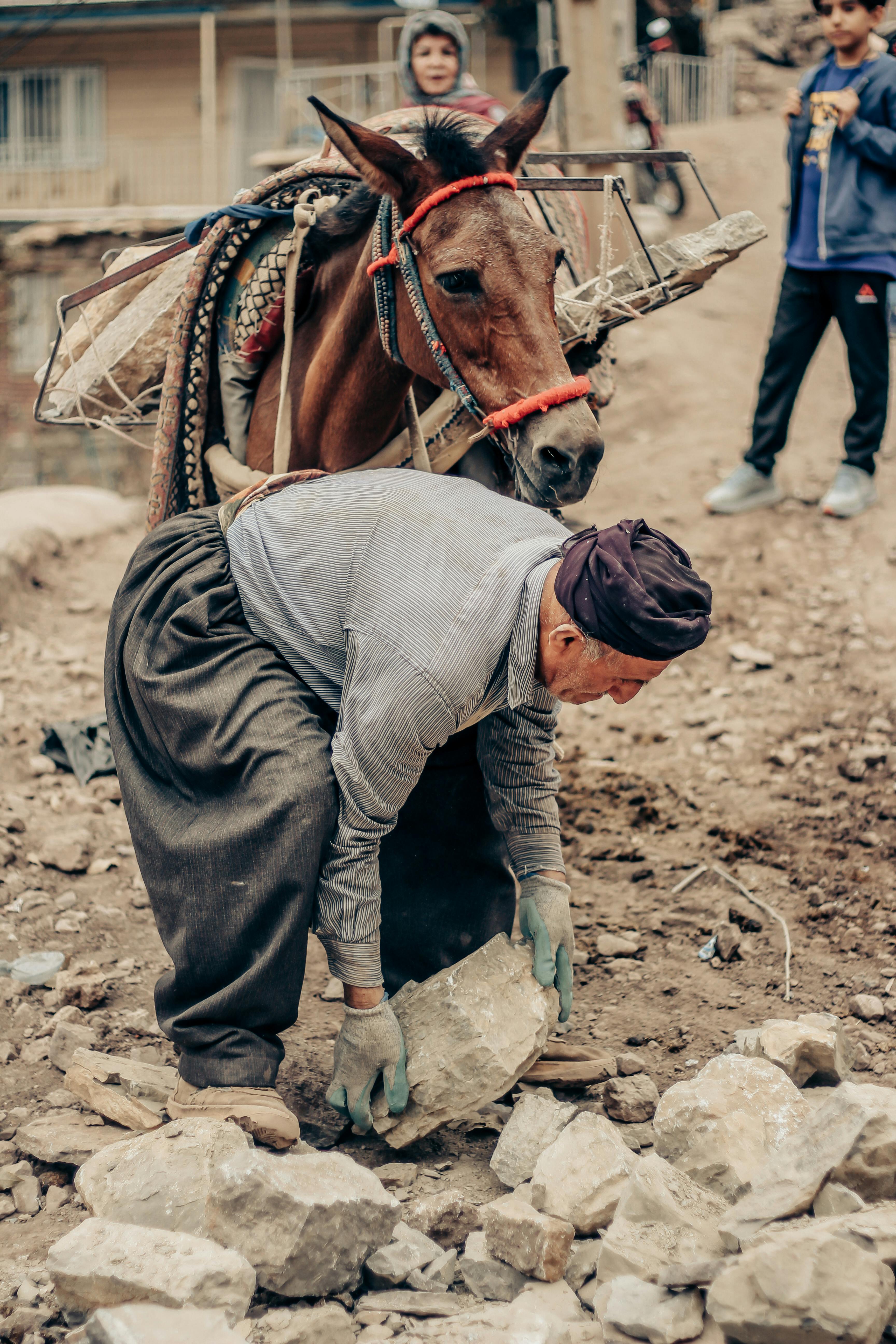 Kurd Photos, Download The BEST Free Kurd Stock Photos & HD Images