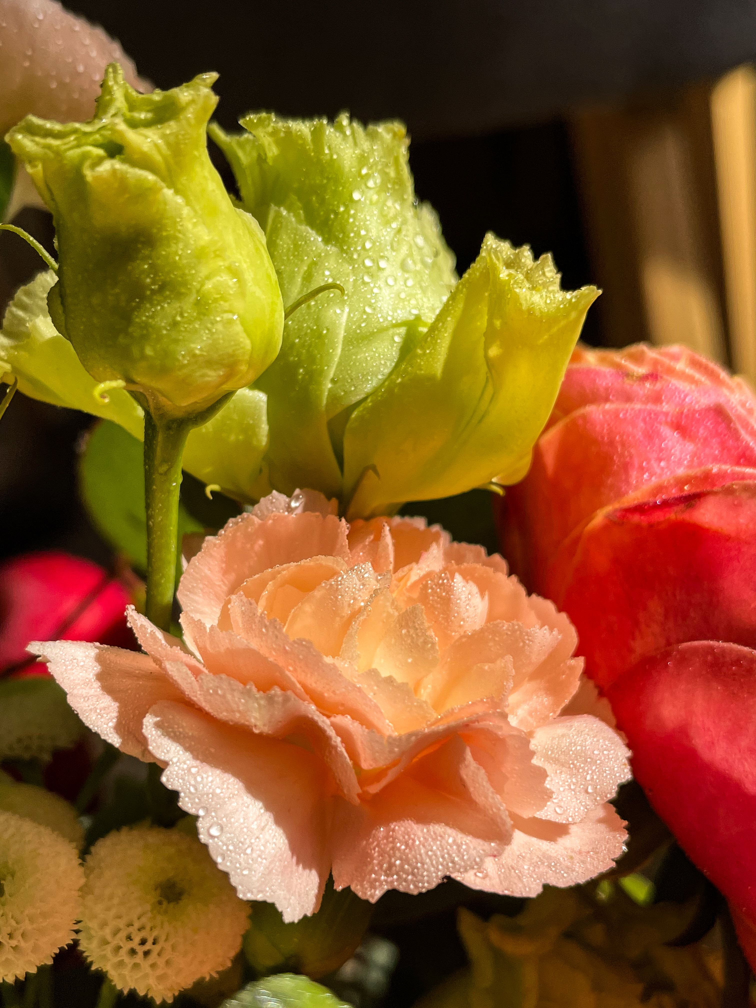 flower · Free Stock Photo