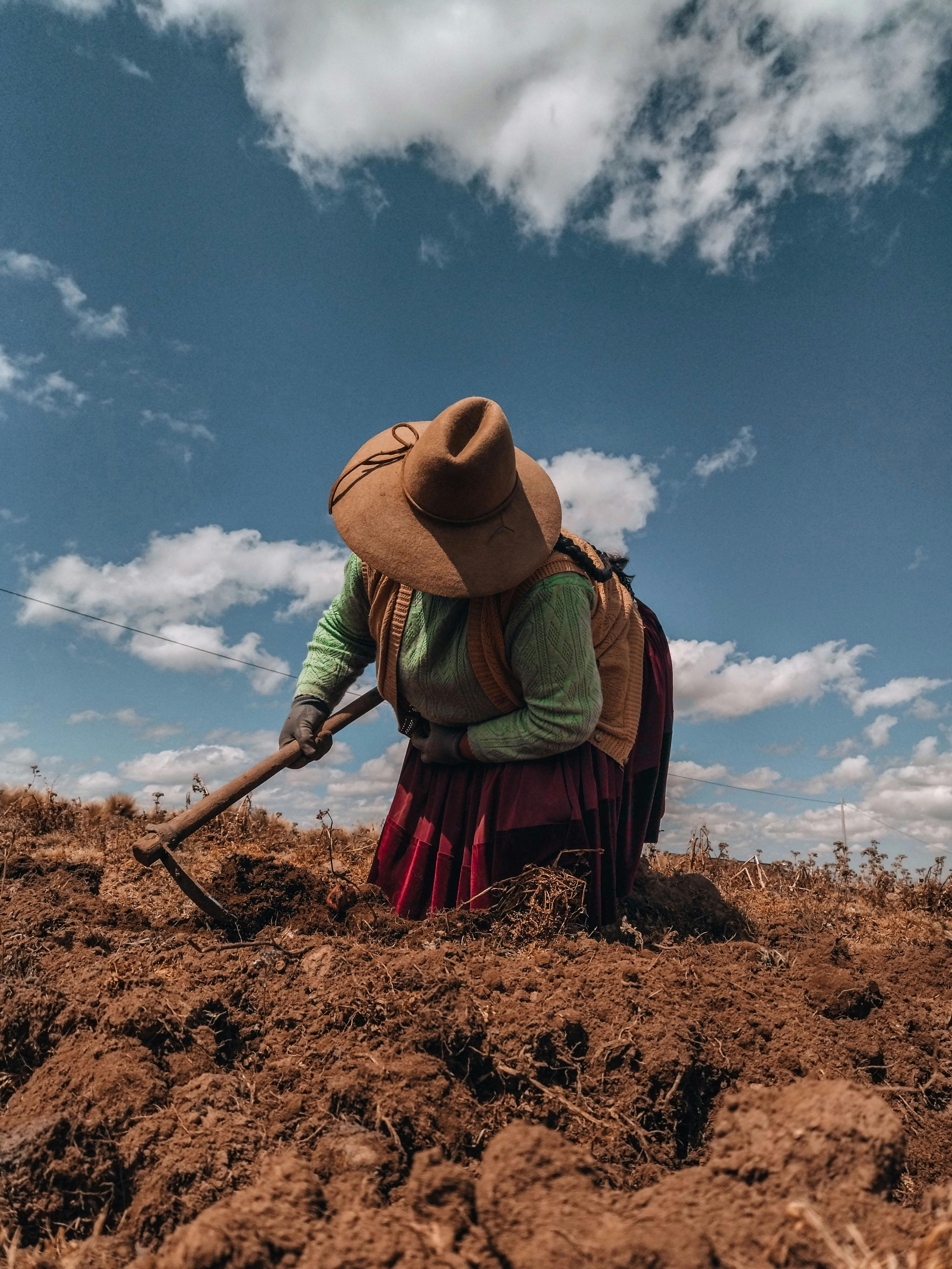 Isaac Suca Fuentes - 攝影