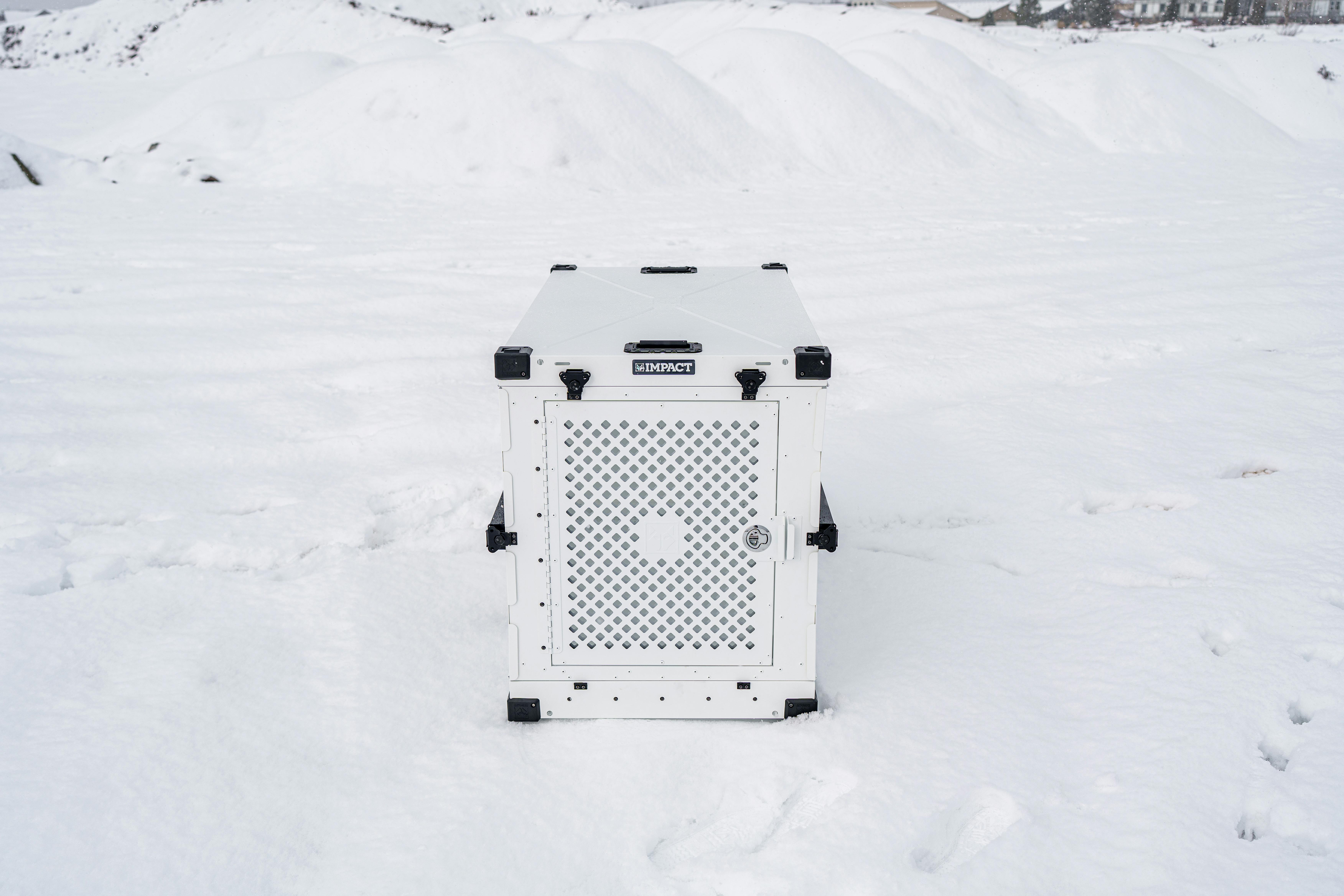 Impact Dog Crates Siberian in Snow with Handsome Male Owner · Free ...