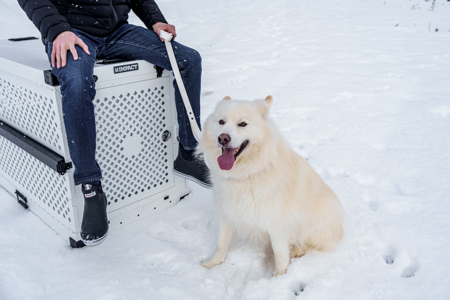 Sledge Dogs Thrive in World's Most Isolated Arctic Regions