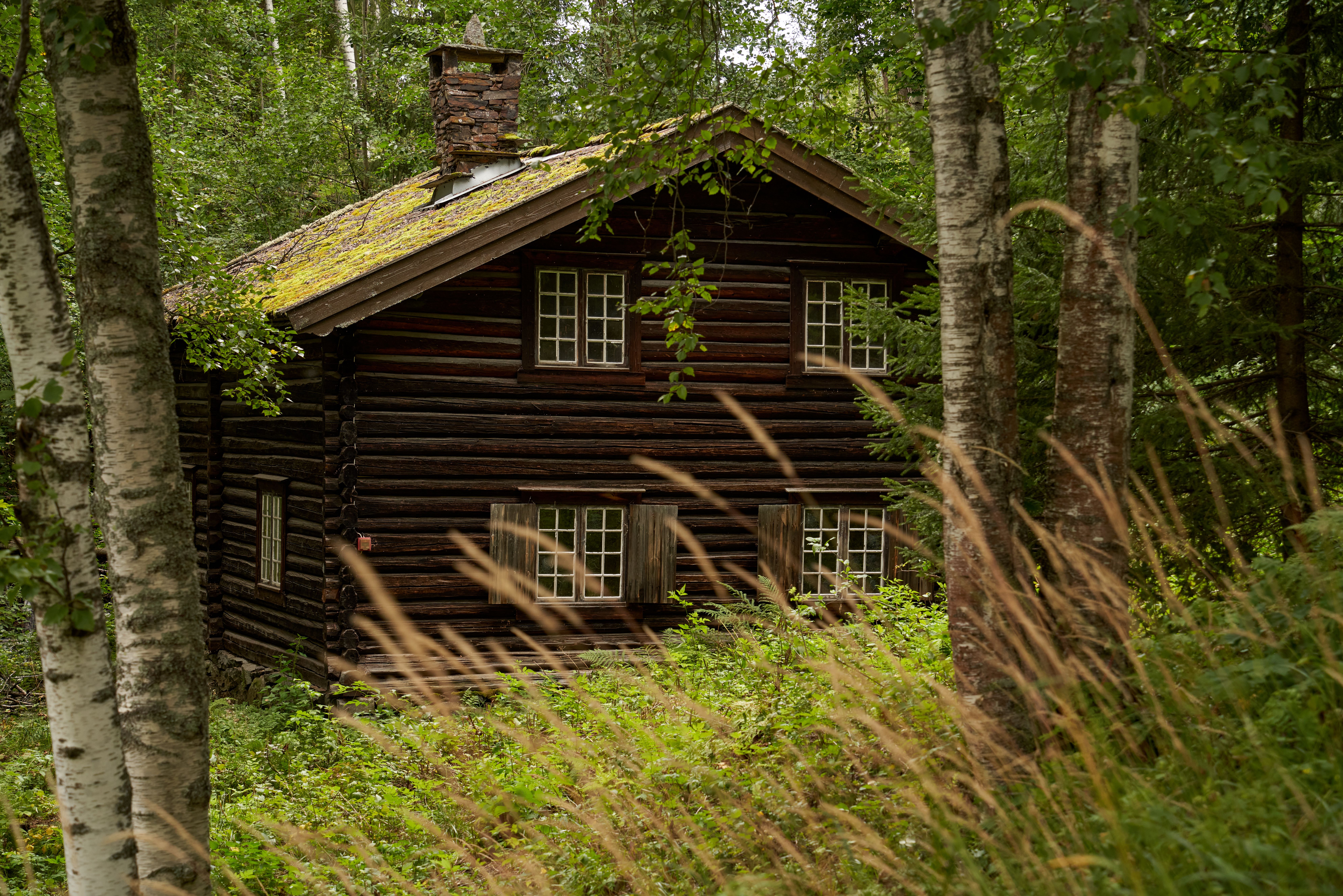 Rustic Log House in Lush Norwegian Forest · Free Stock Photo