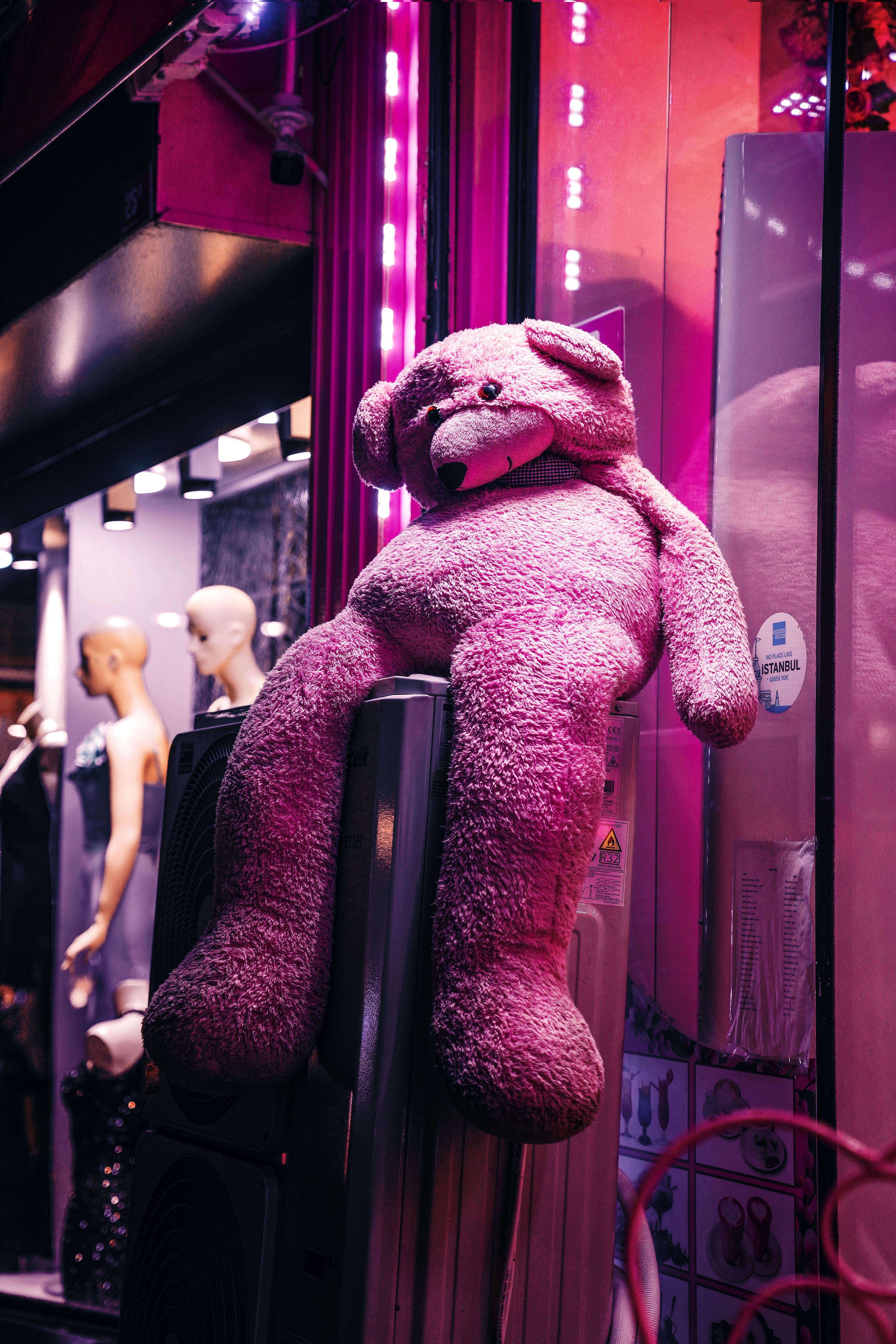 A pink teddy bear is on display in a store window · Free Stock Photo