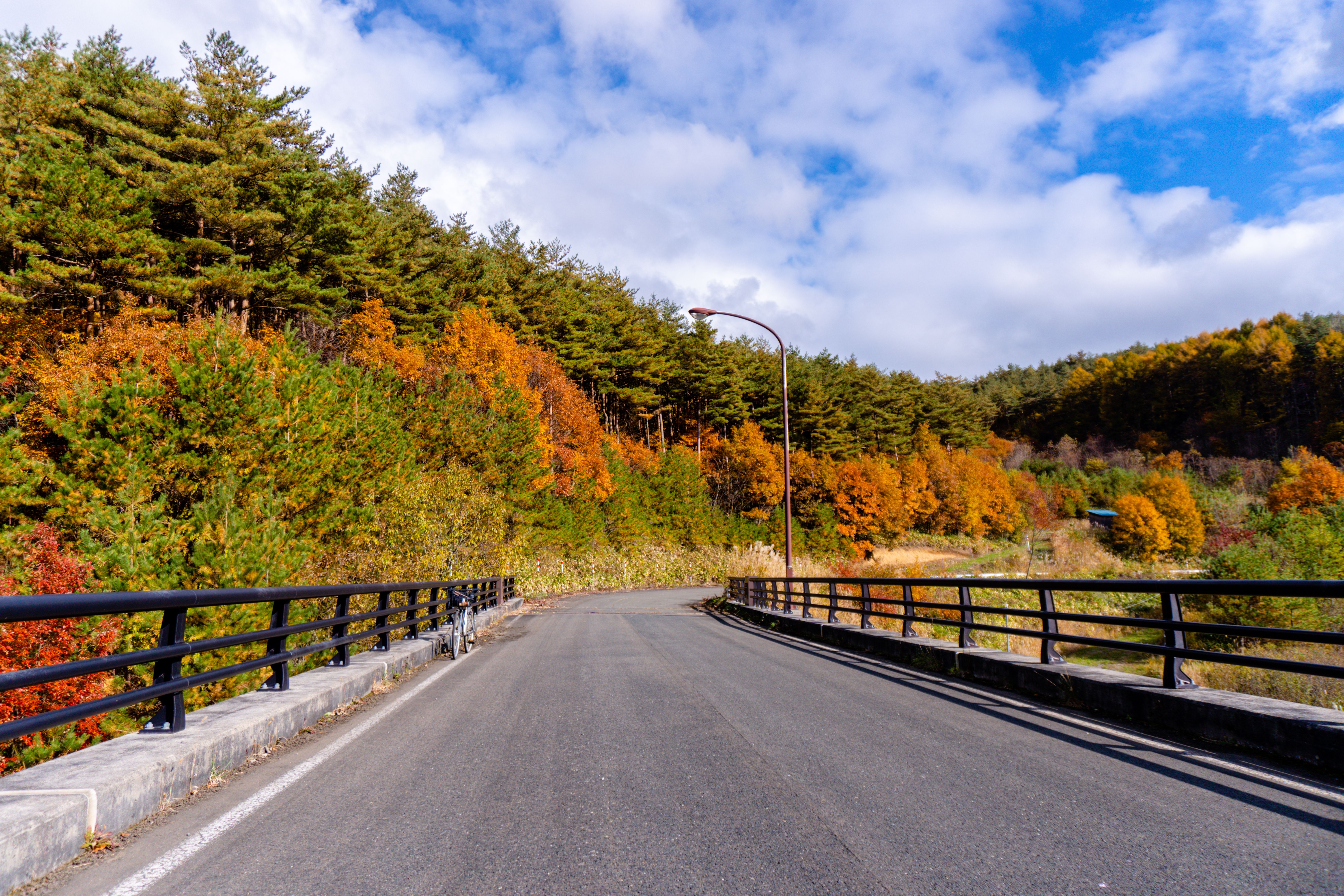 A road with trees and a bridge in the background · Free Stock Photo