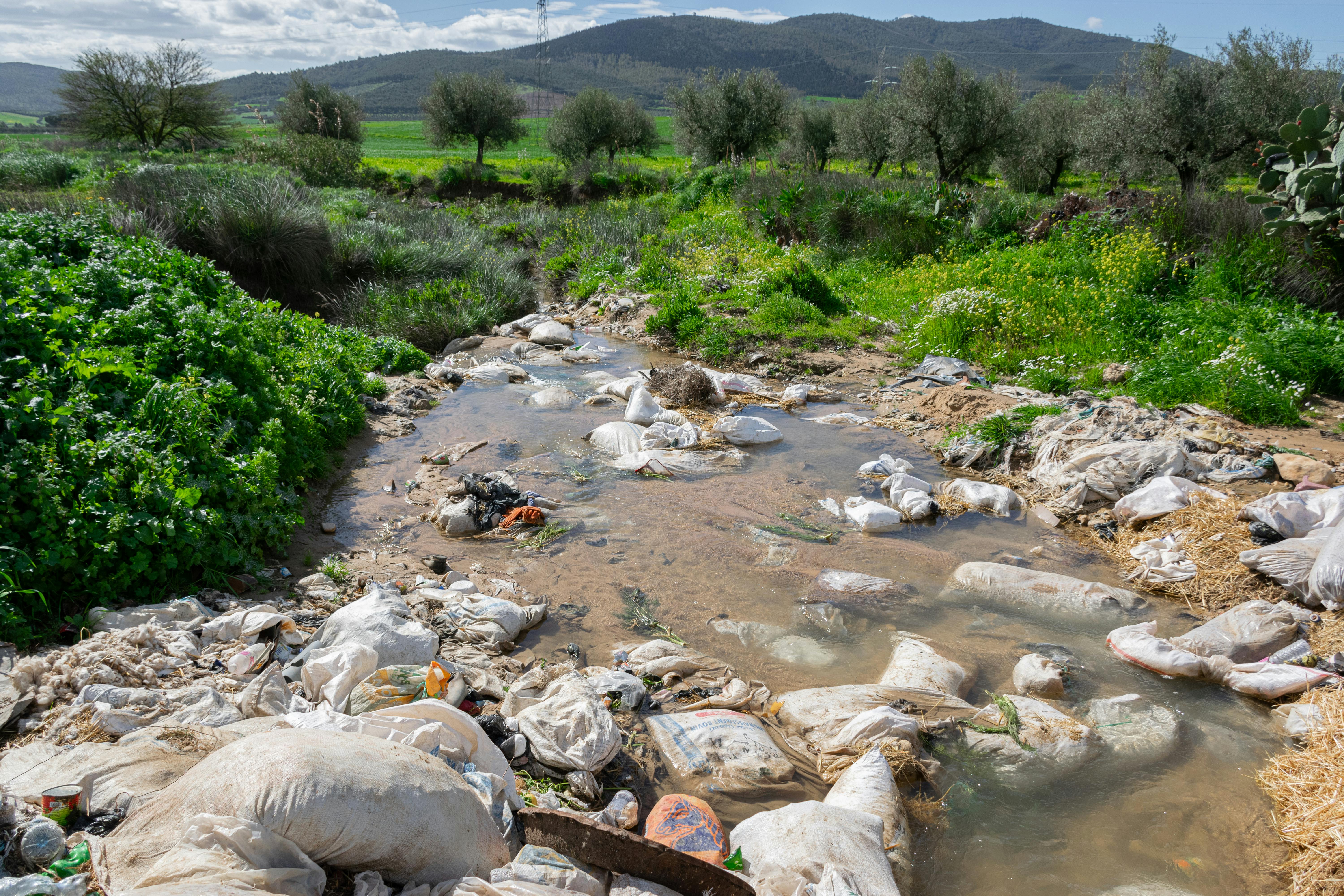 Pollution river Tunisia · Free Stock Photo