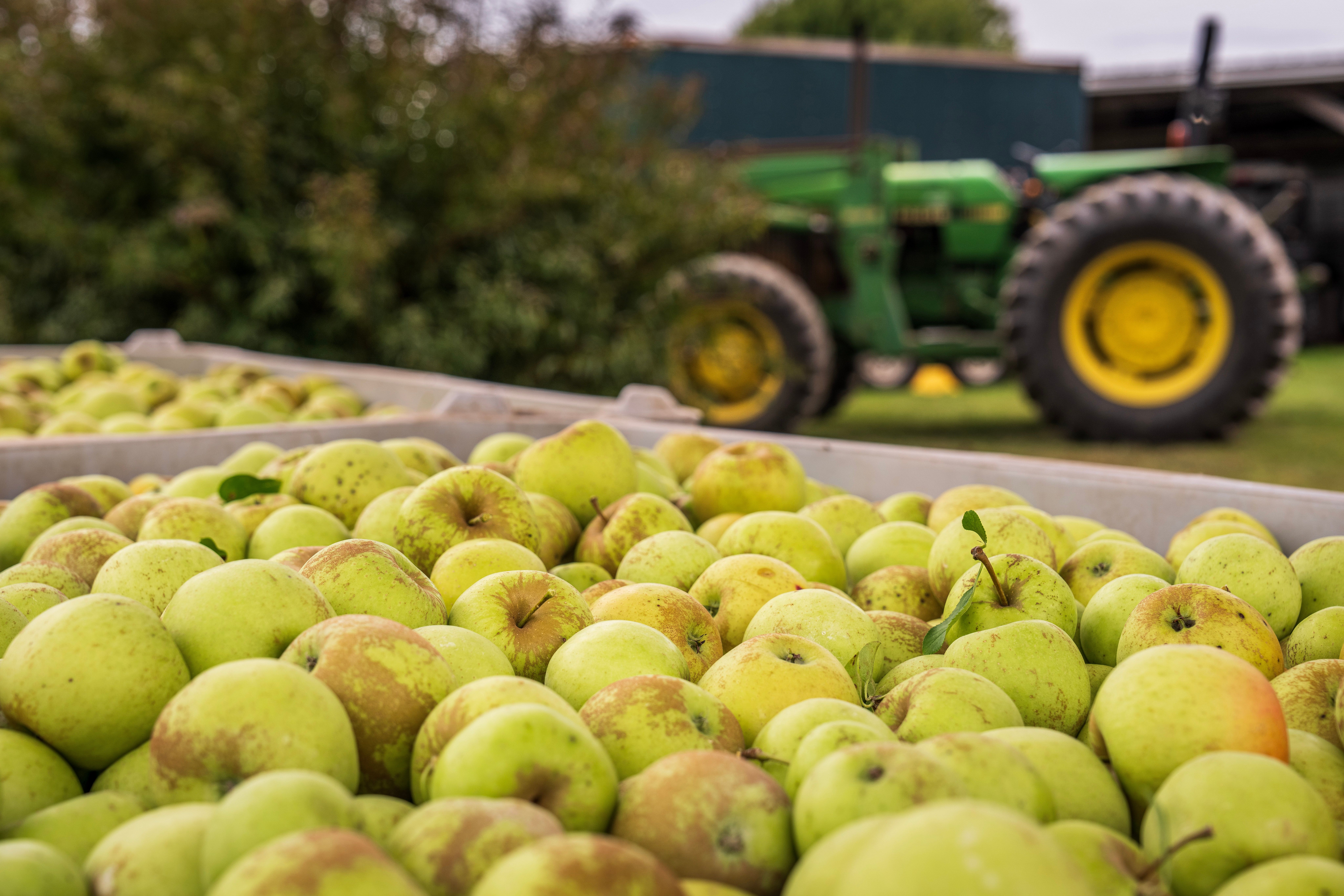 A tractor is parked in front of a pile of apples · Free Stock Photo