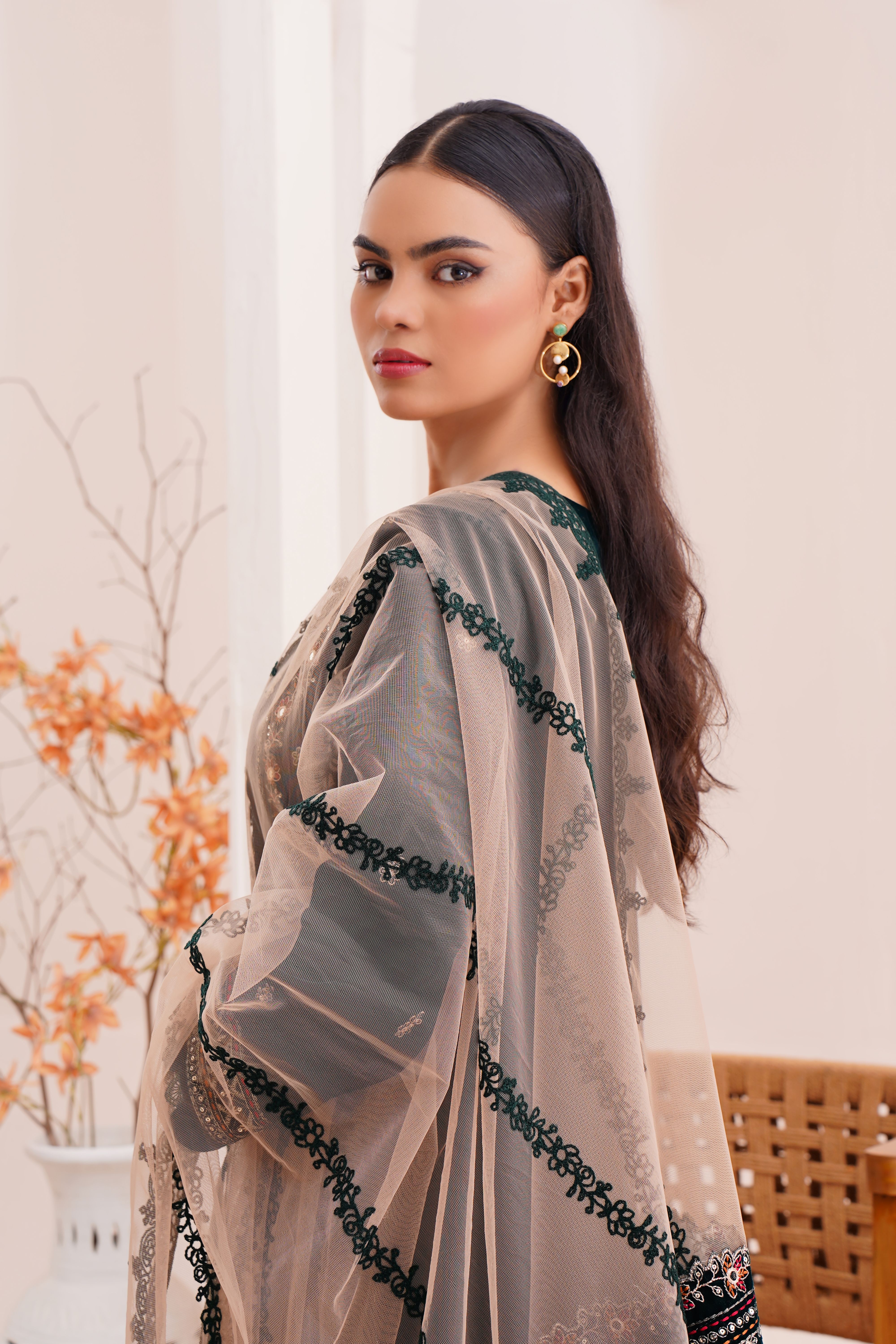 fashion eastern dresses by dhanno · Free Stock Photo