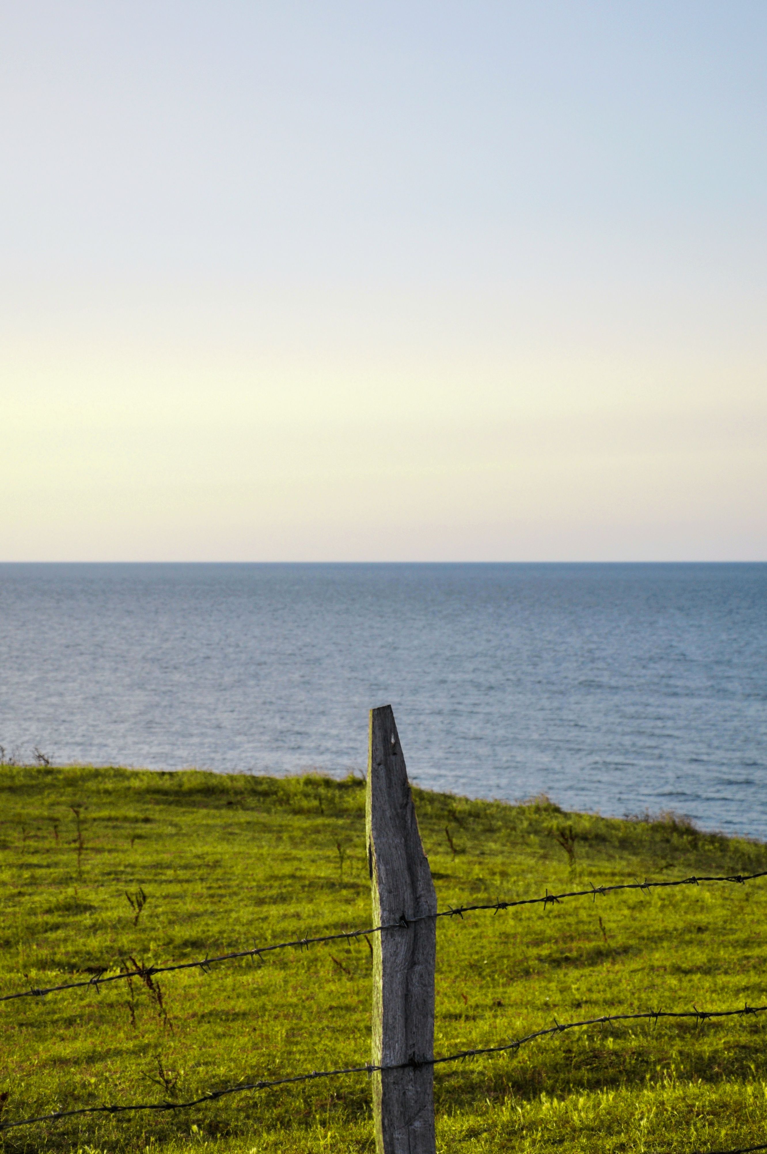Tranquil Coastal Landscape with Green Field and Ocean · Free Stock Photo