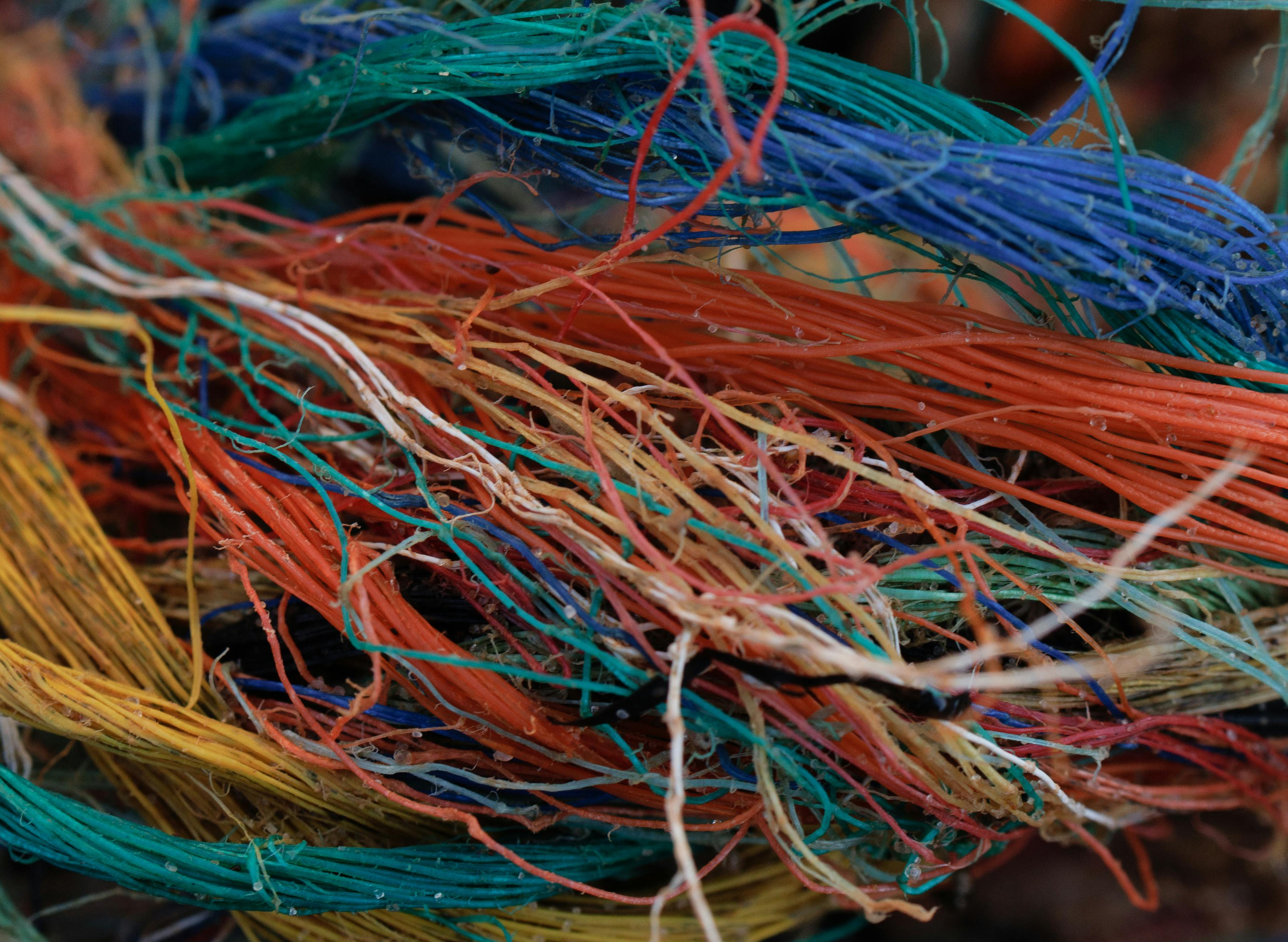 Close Up Strings Photos, Download The BEST Free Close Up Strings Stock ...