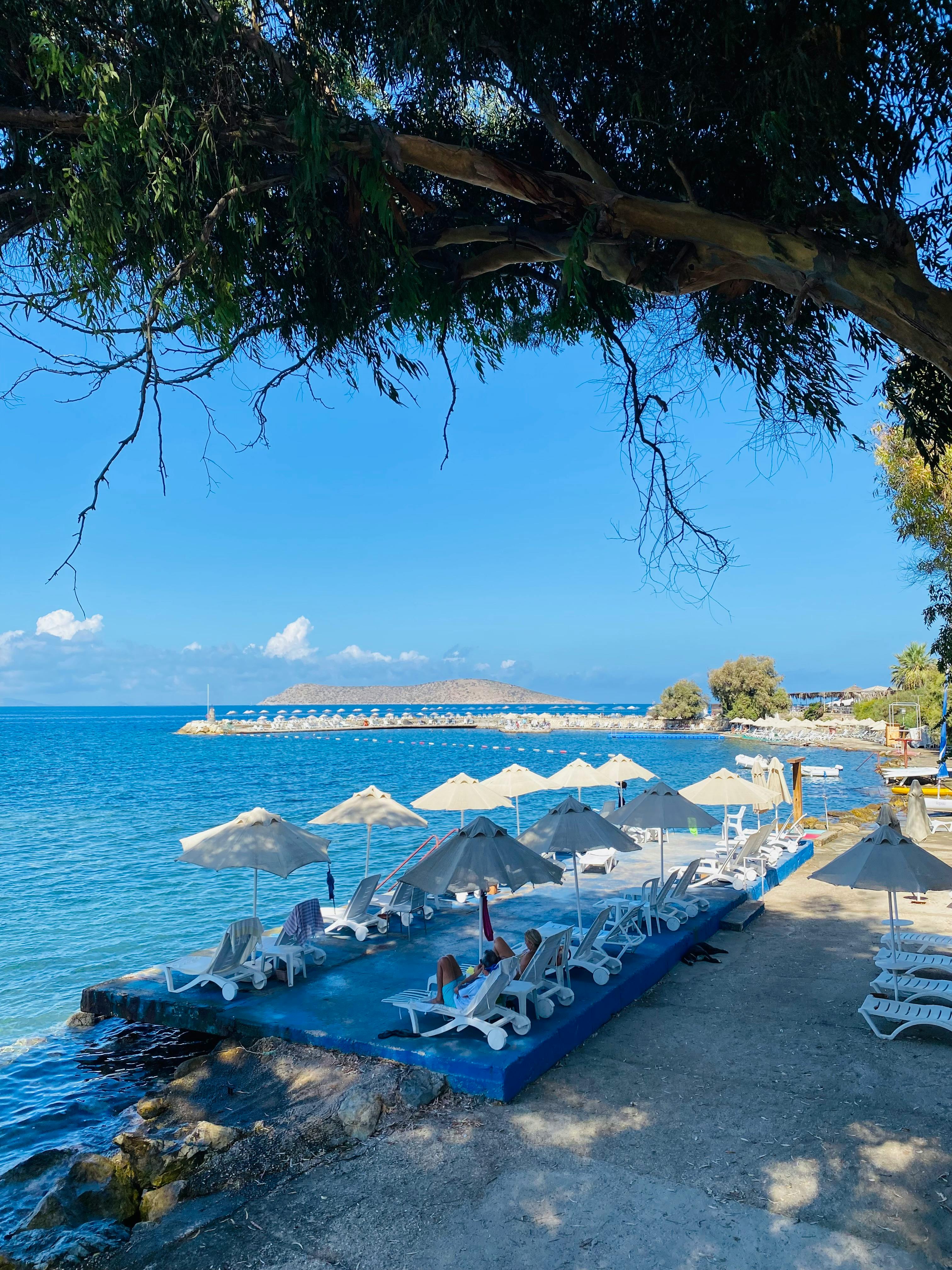 Serene Beachfront with Sun Loungers and Umbrellas · Free Stock Photo