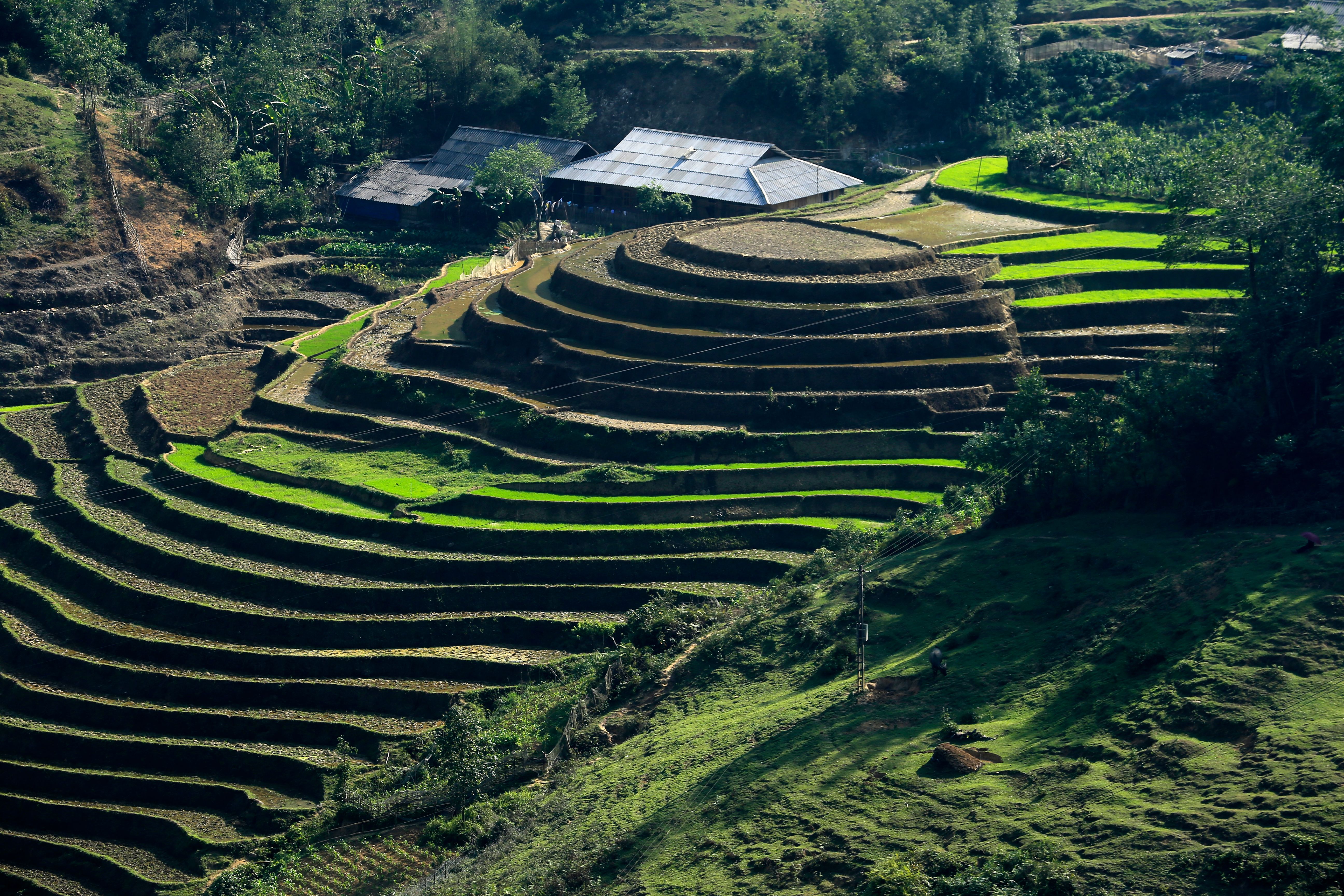 Scenic Photo Of Rice Terraces During Daytime · Free Stock Photo