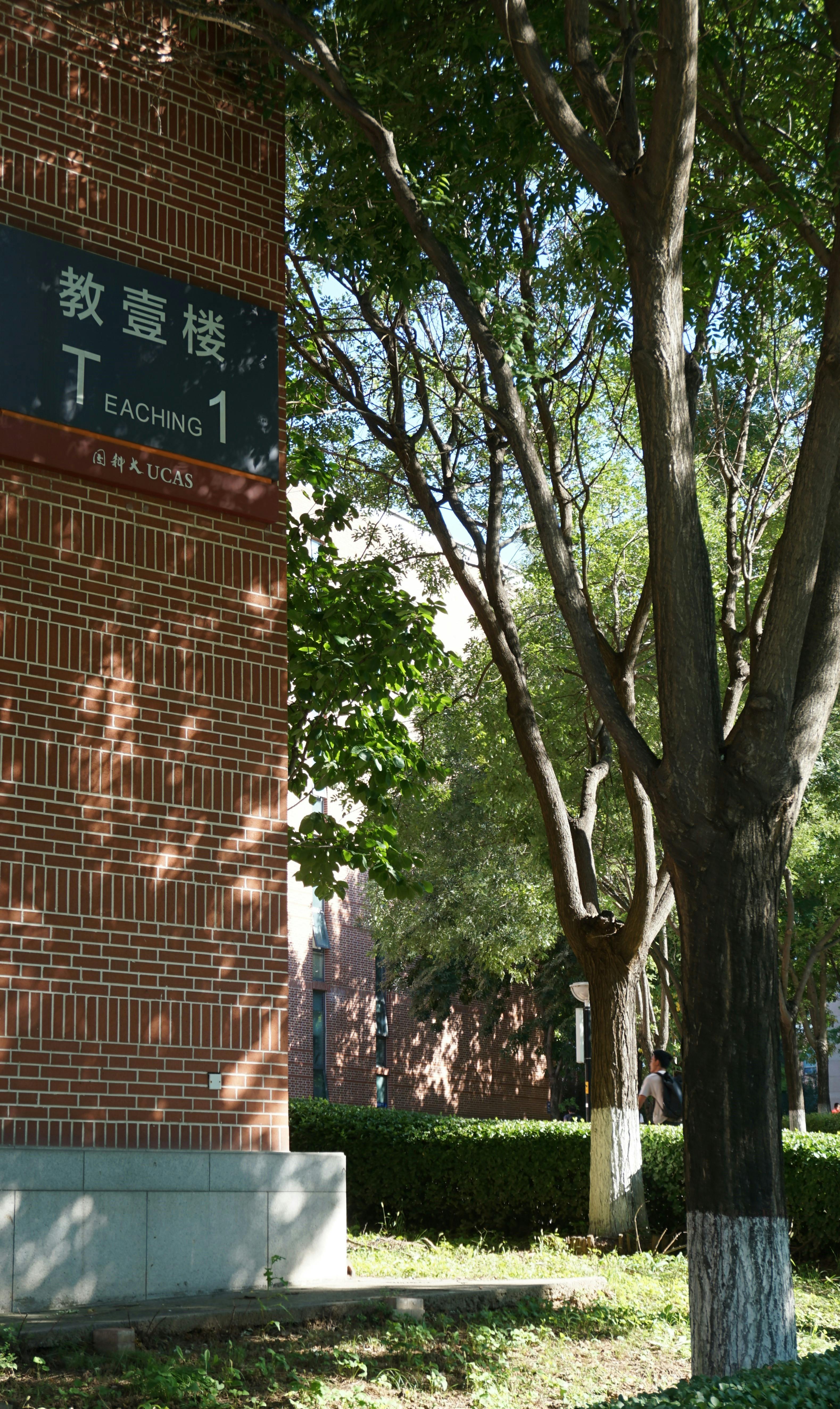 Brick building and trees at UCAS campus · Free Stock Photo