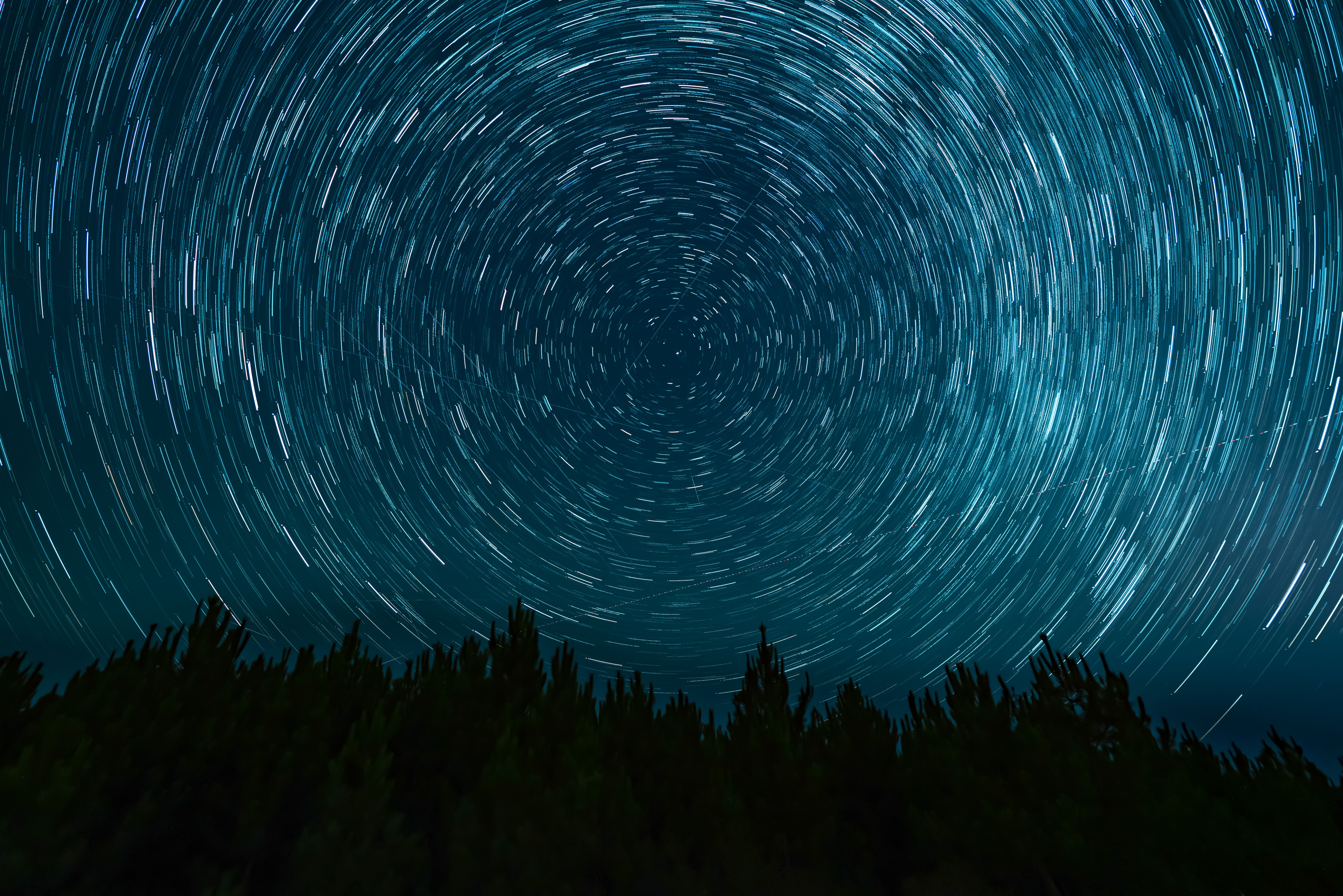 Deslumbrantes Rastros De Estrelas Sobre A Floresta Escura · Foto ...