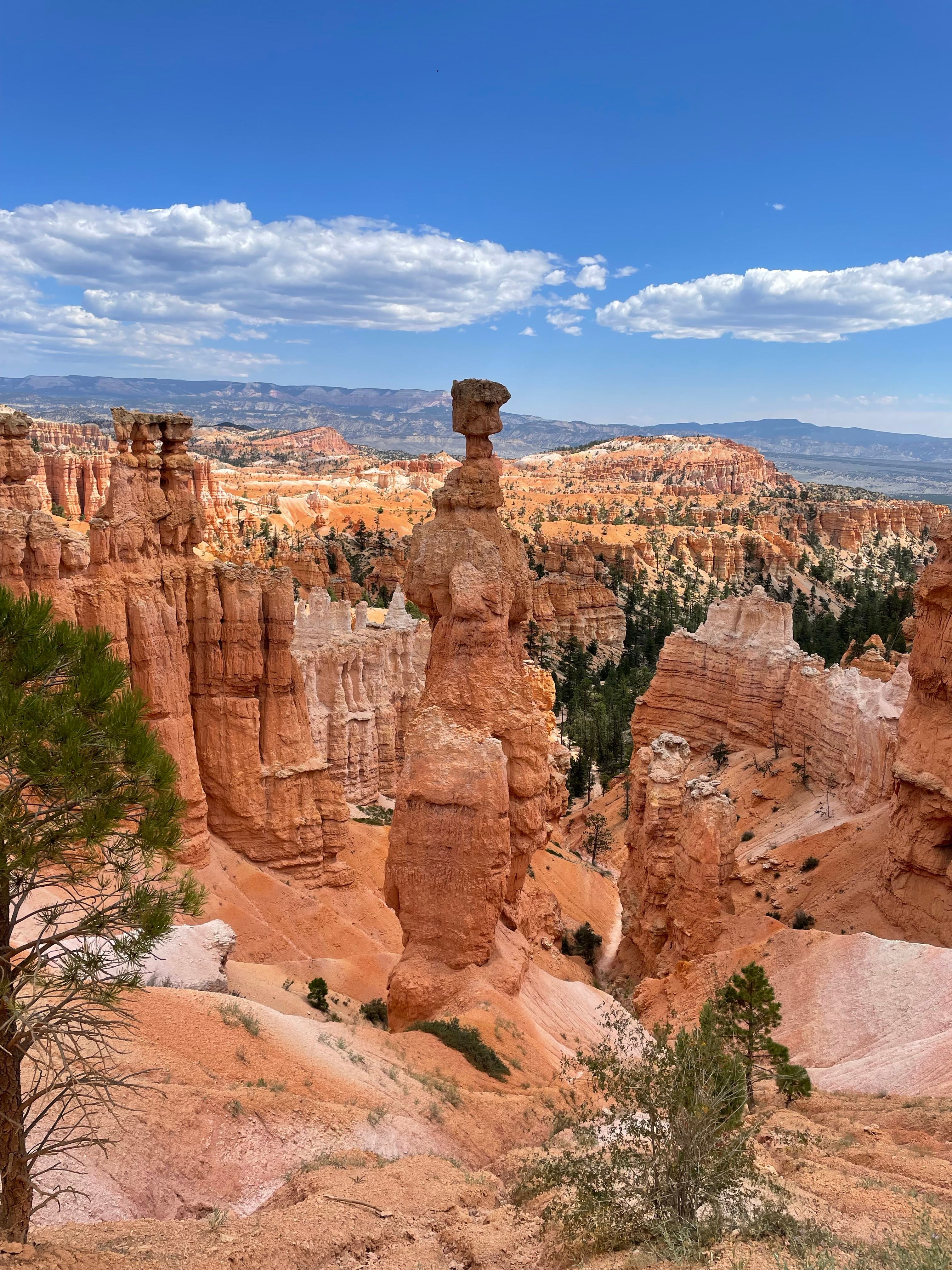 Stunning Hoodoos in Bryce Canyon National Park · Free Stock Photo