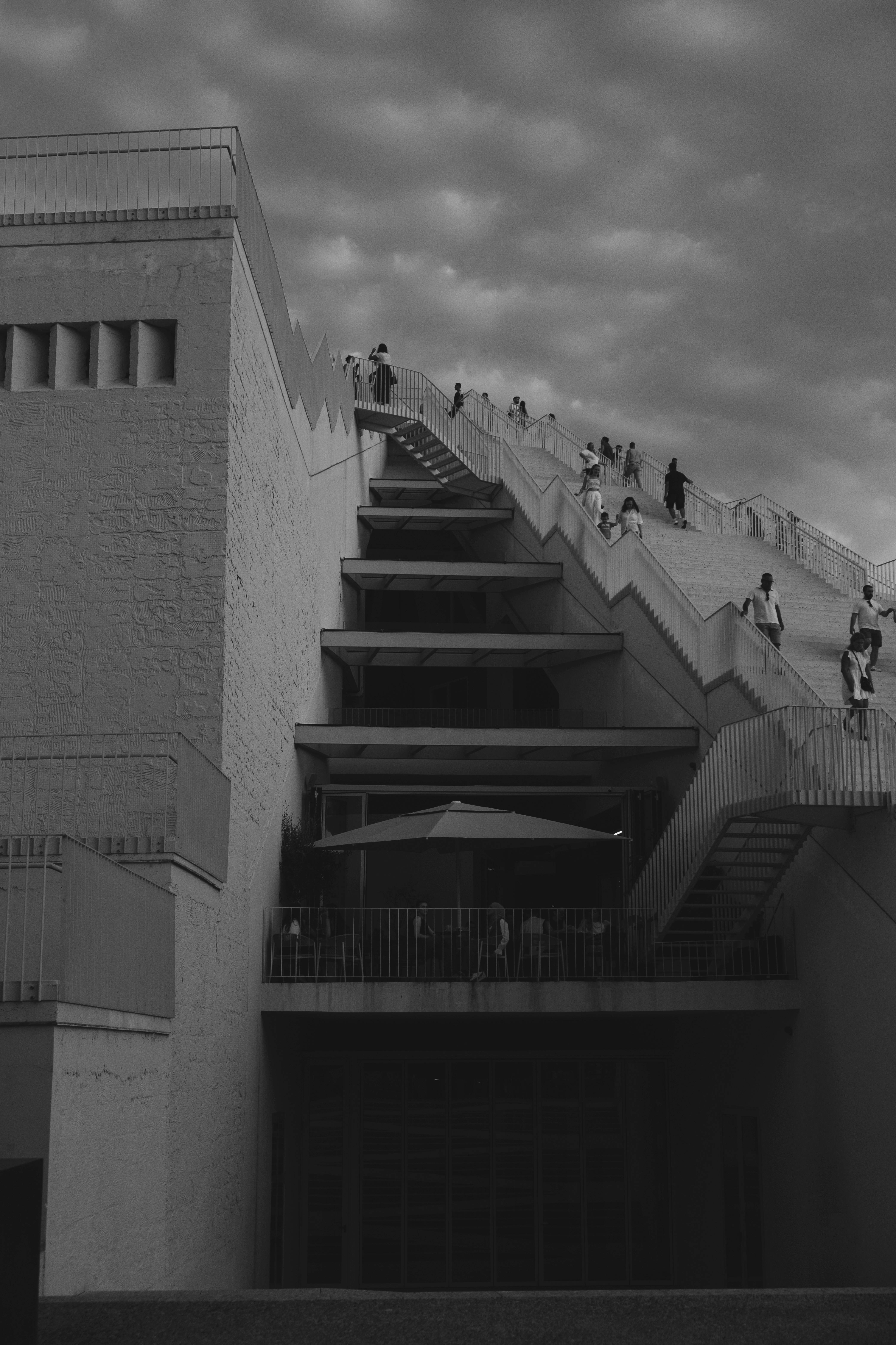 Tiran Photos, Download The BEST Free Tiran Stock Photos & HD Images