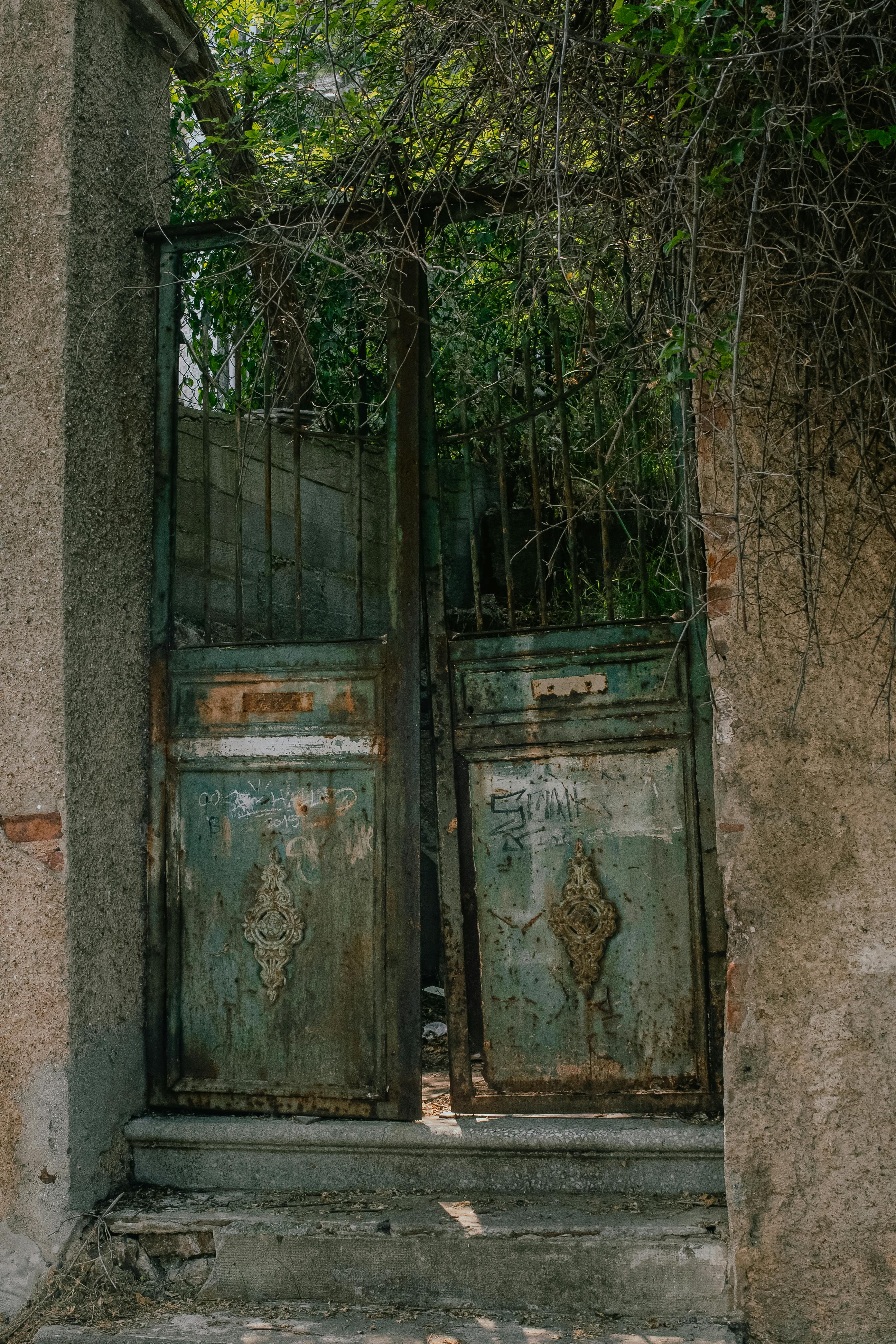 Vintage Iron Gate in Overgrown Garden · Free Stock Photo
